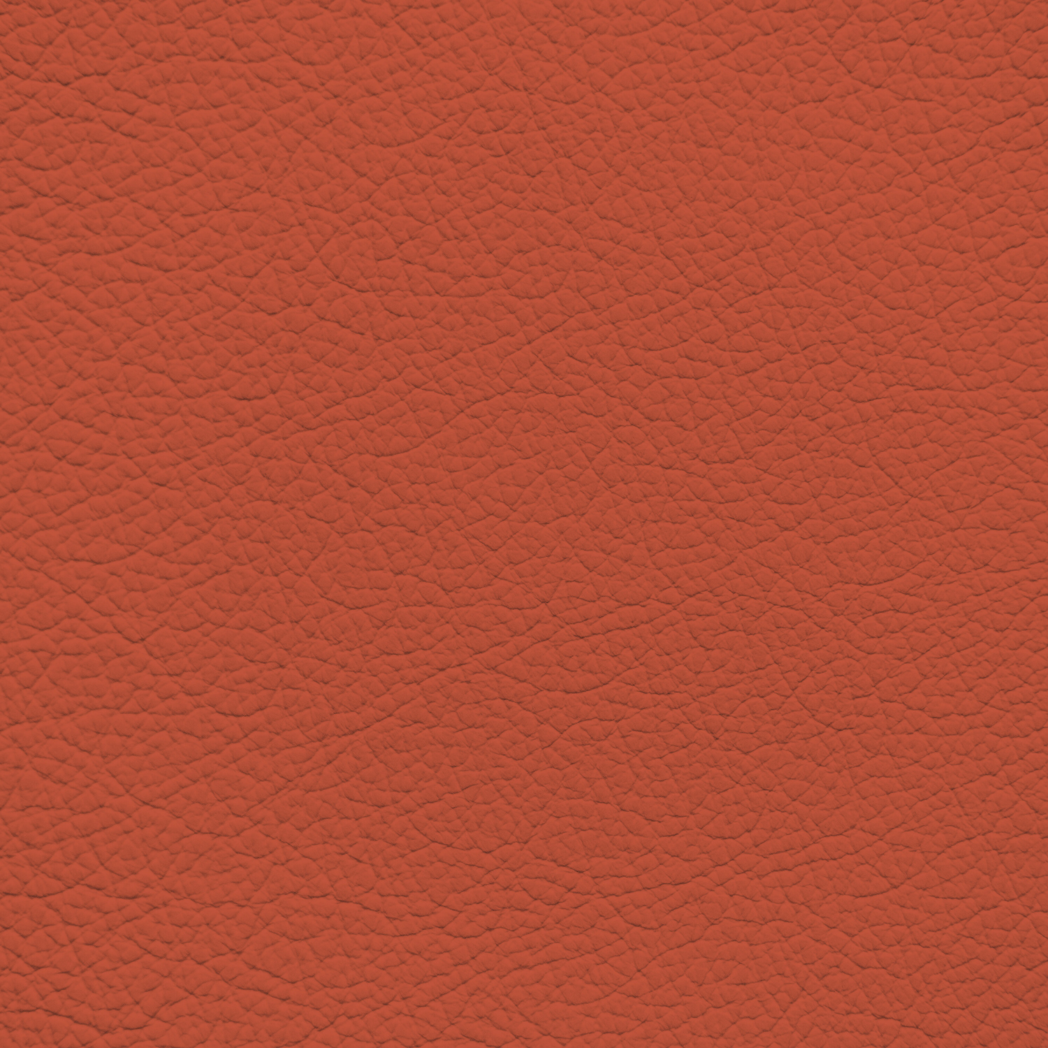 BMW Magma Red Leather Dye – Leather World Technologies