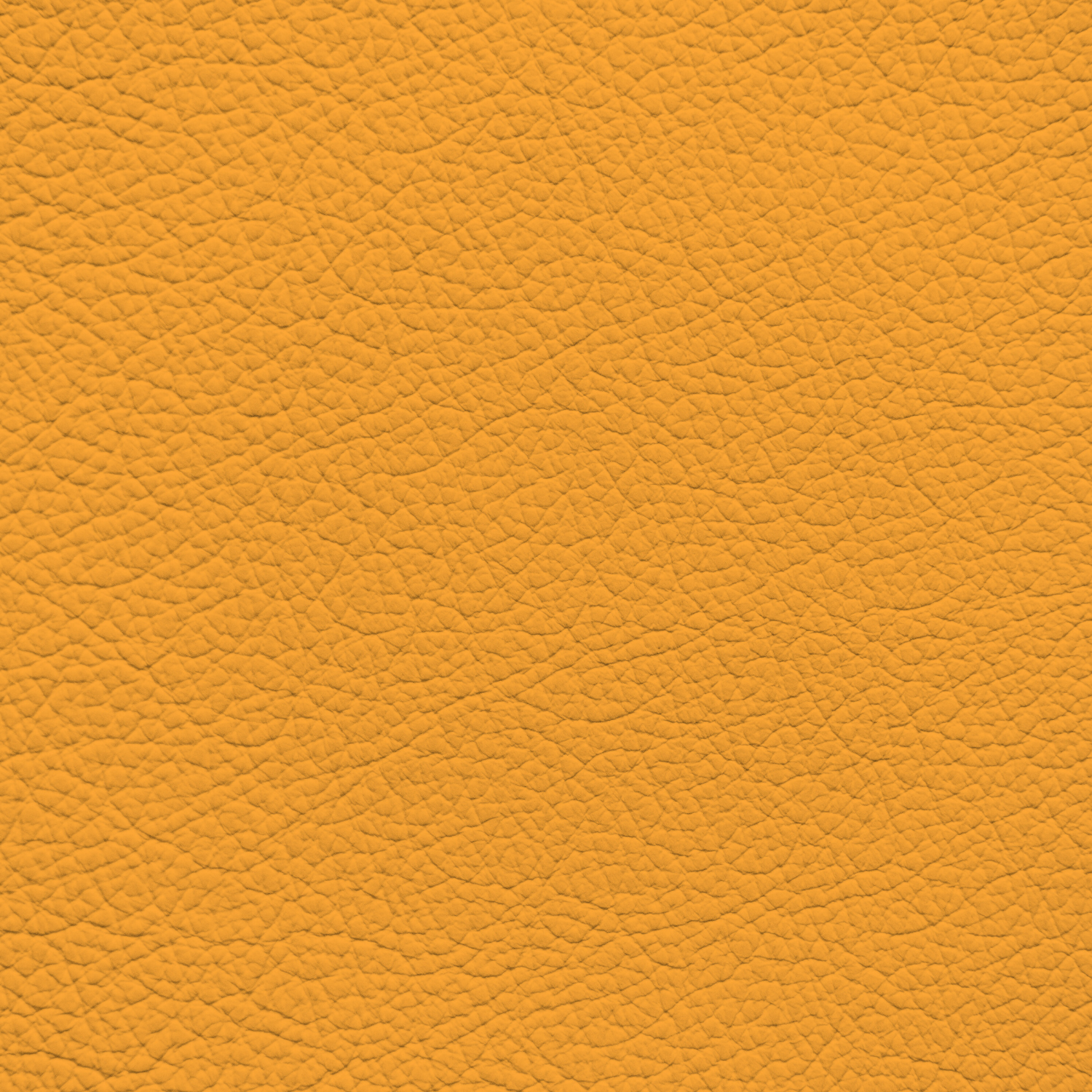 BMW Maisgelb/Corn Yellow Leather Dye – Leather World Technologies