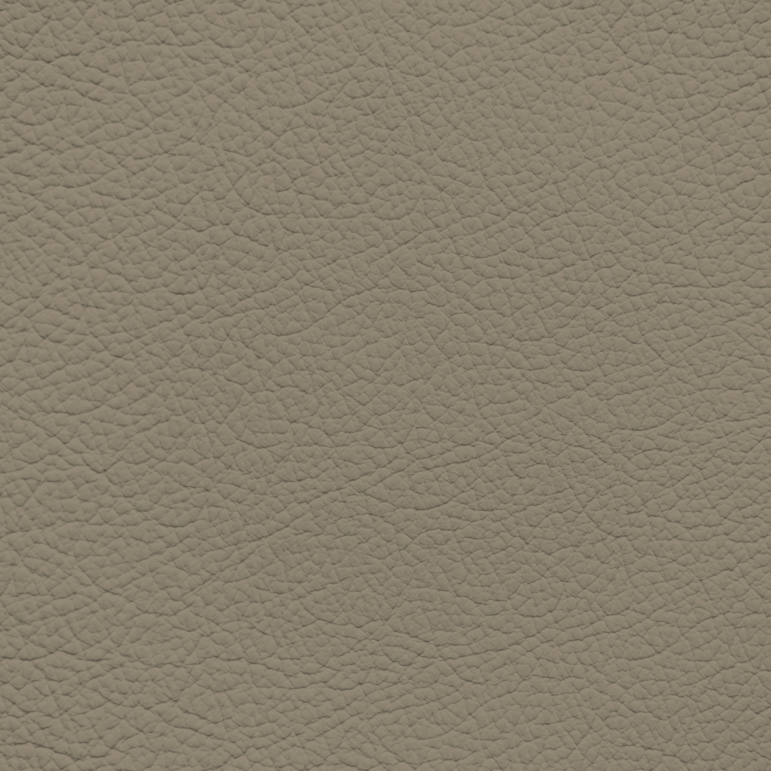 Mercedes Mandel Beige Leather Dye – Leather World Technologies