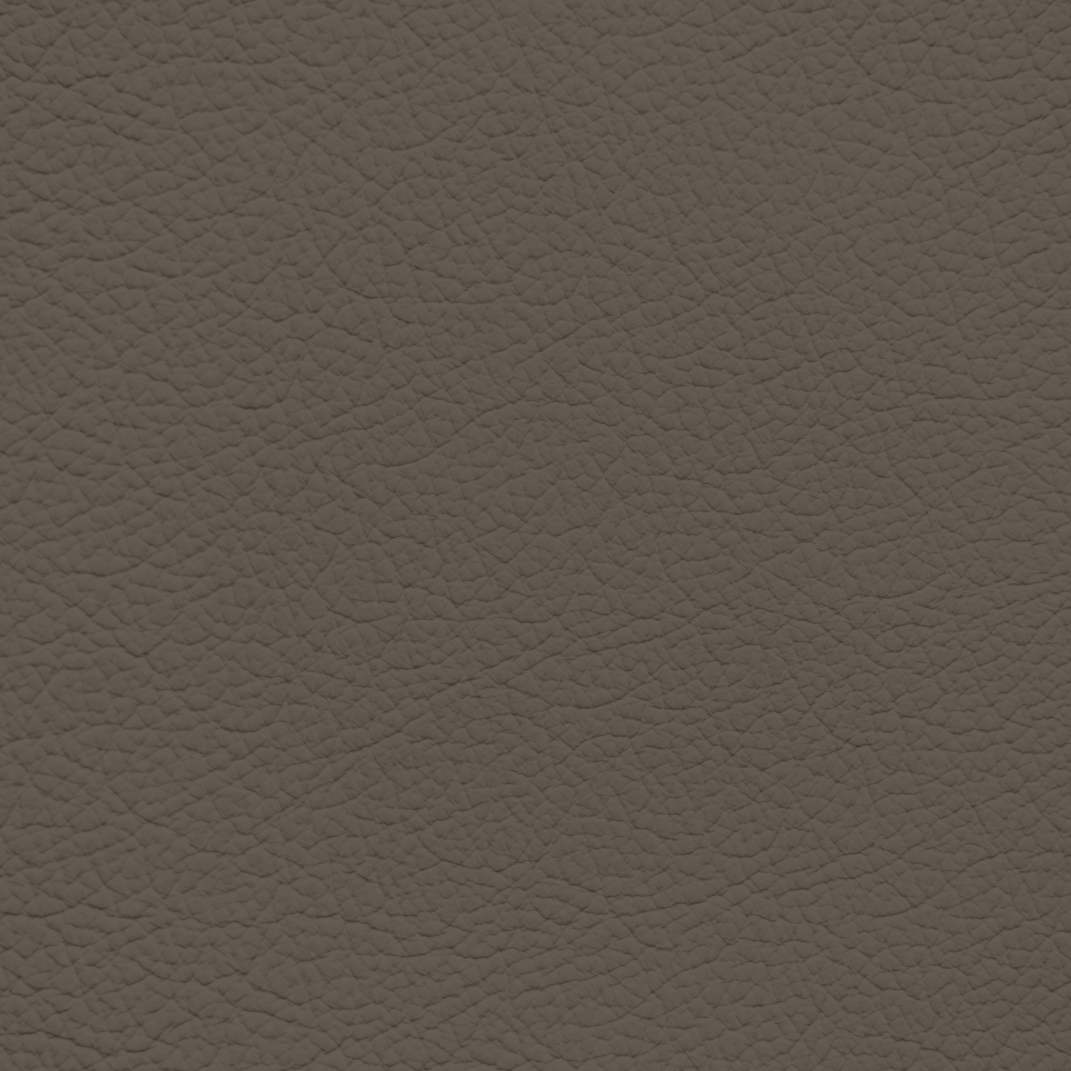 Lexus Medium Taupe Leather Dye – Leather World Technologies