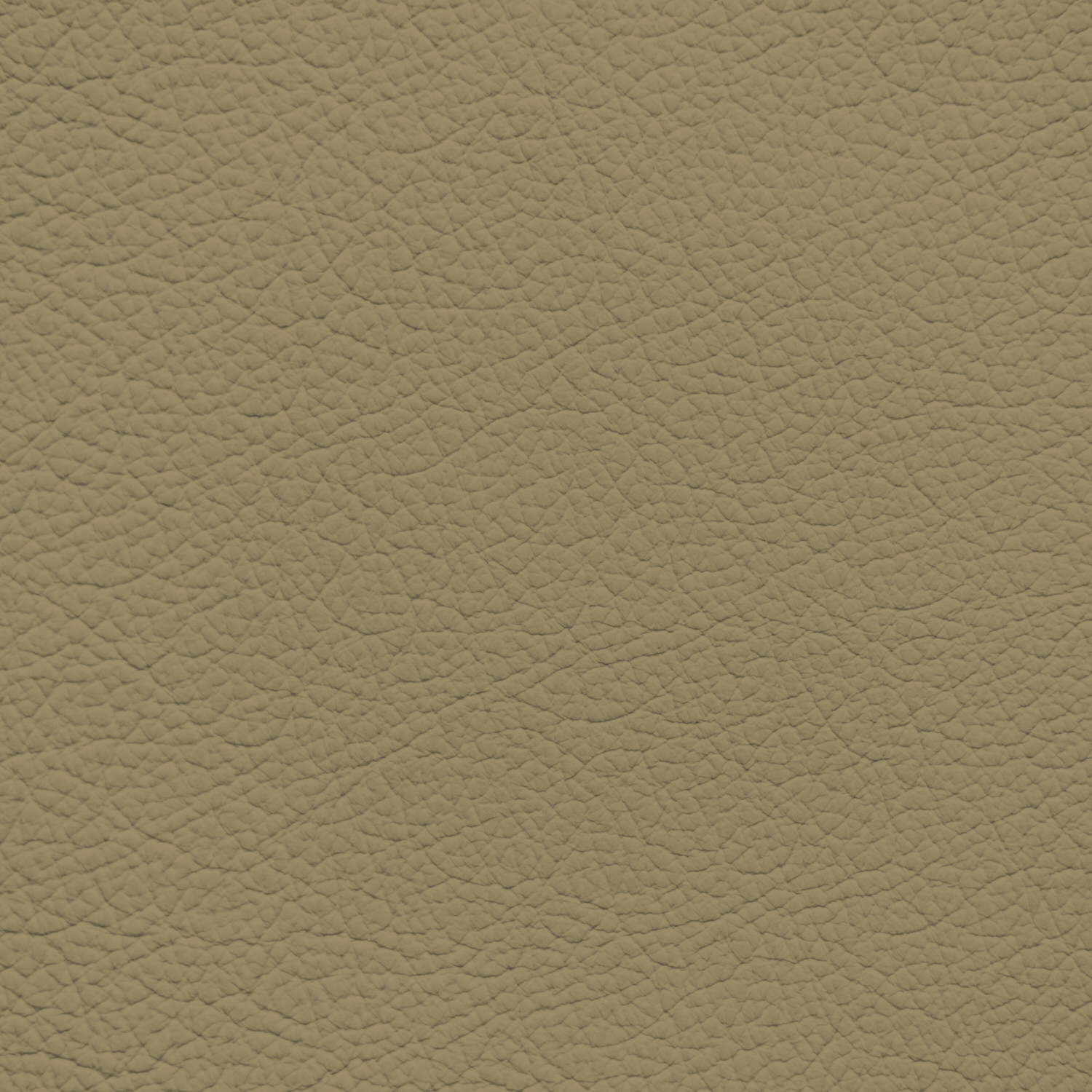 Acura/Honda Medium Ivory Leather Dye – Leather World Technologies
