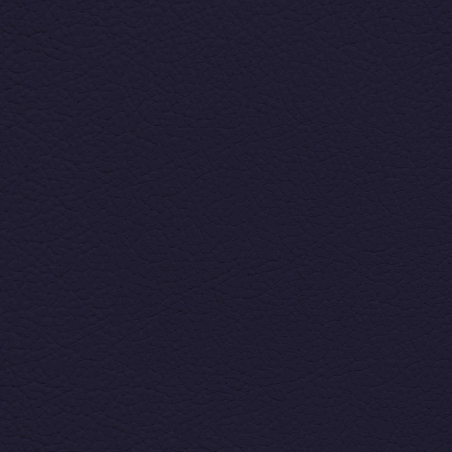 BMW Midnight Blue Leather Dye – Leather World Technologies