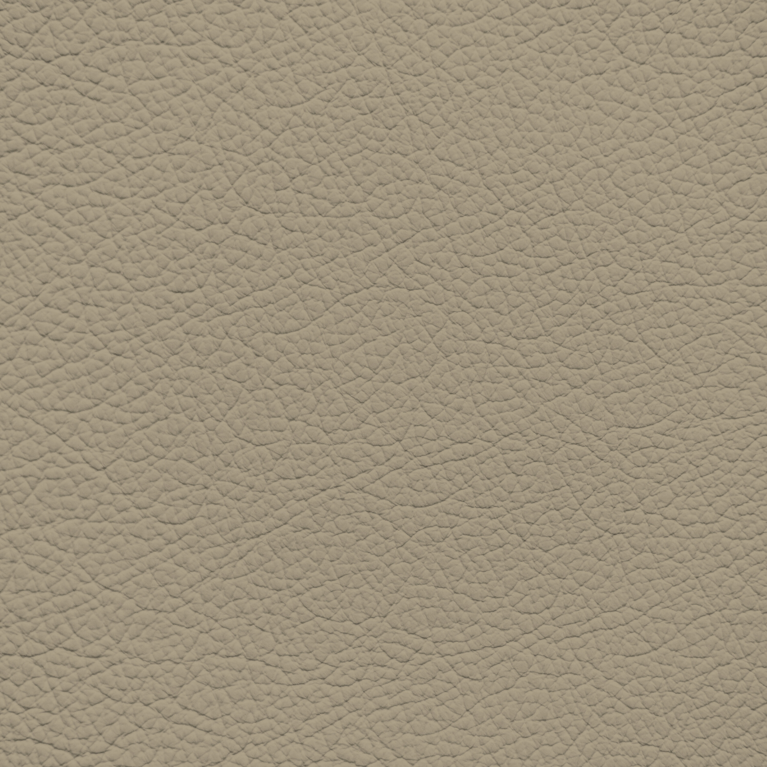 Acura/Honda Mild Beige Leather Dye – Leather World Technologies