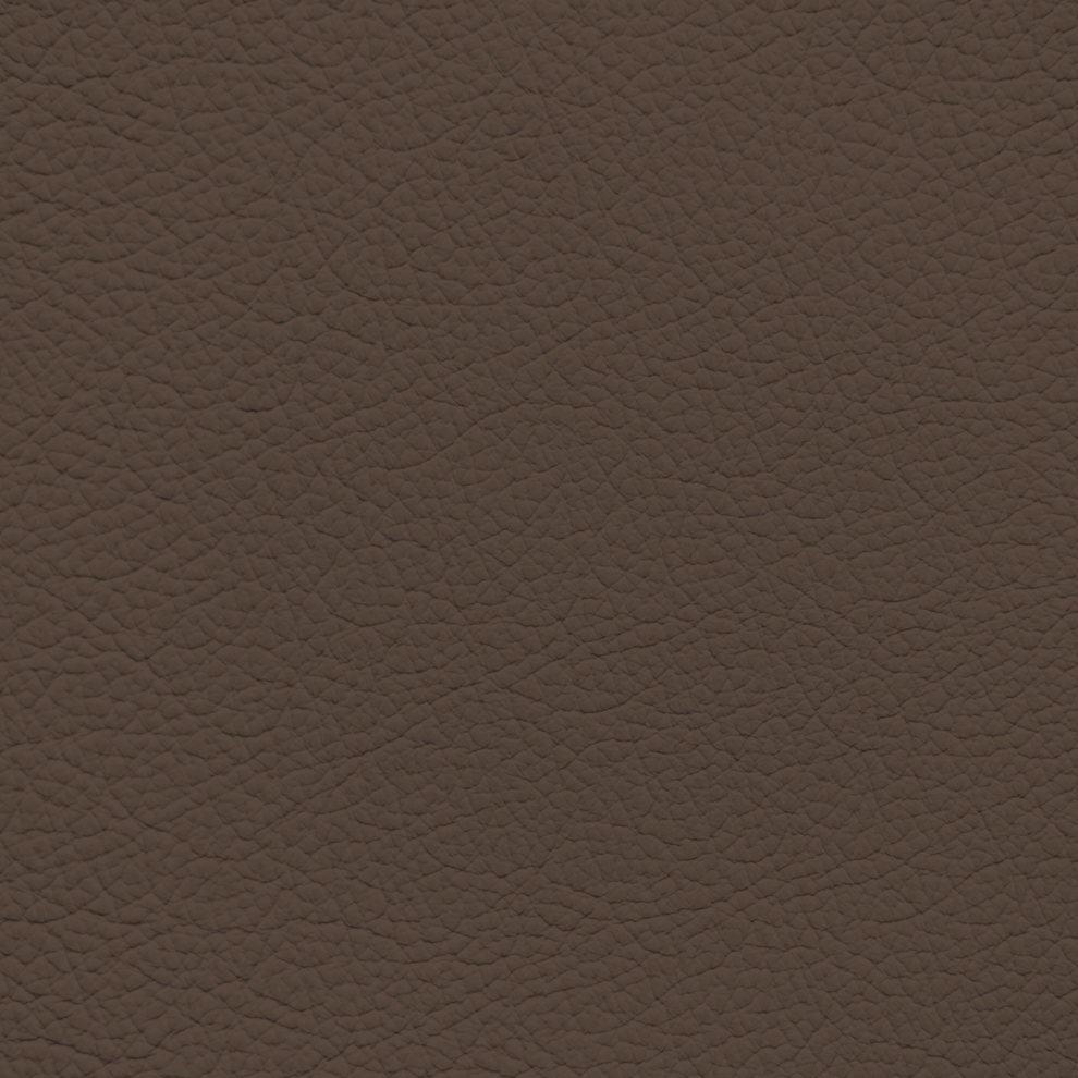 BMW Mocha Leather Dye – Leather World Technologies