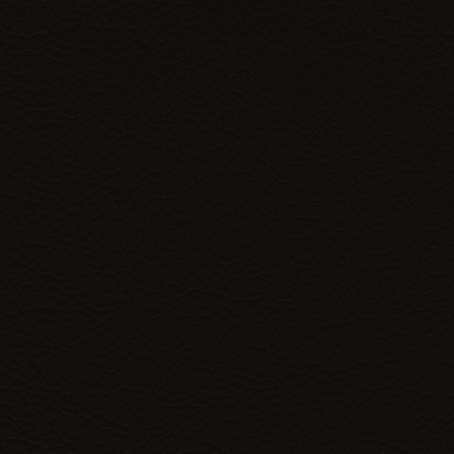 Acura/Honda Mocha Leather Dye – Leather World Technologies