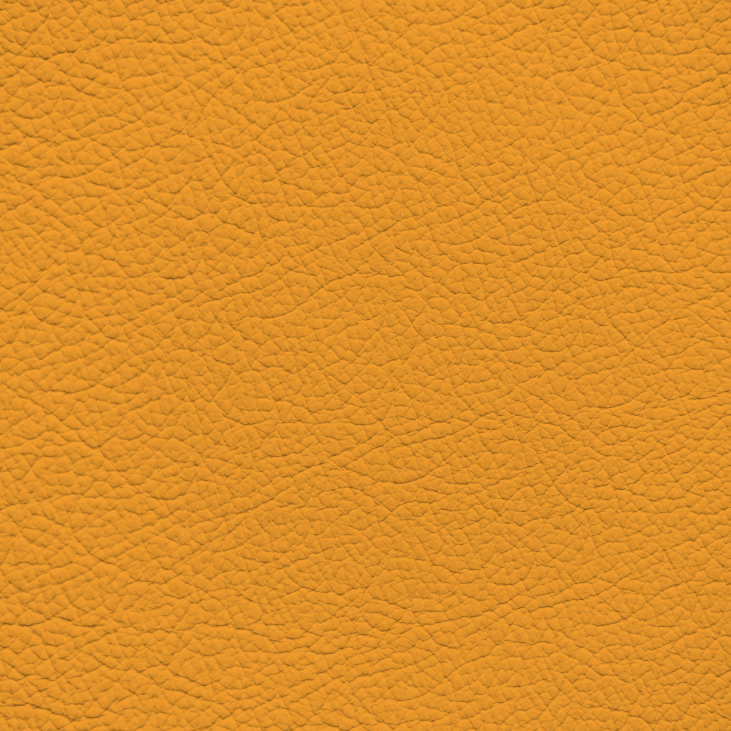 BMW Modena Leather Dye – Leather World Technologies