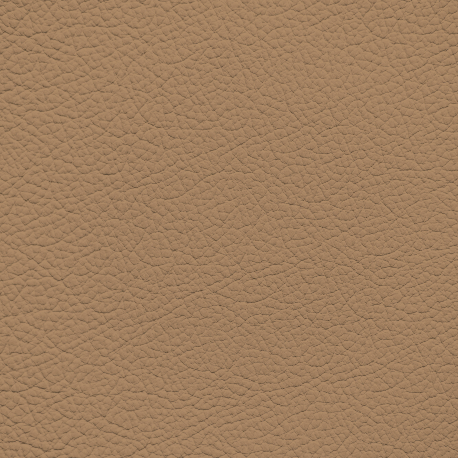 BMW Natural Leather Dye – Leather World Technologies