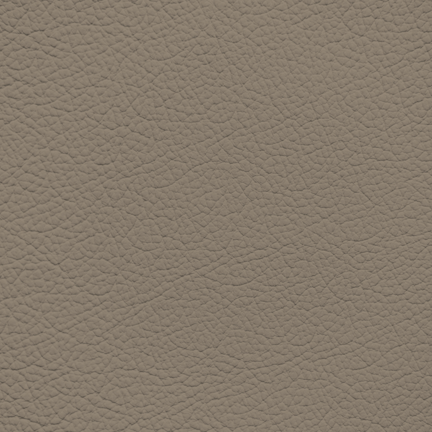 Volkswagen Neutral Leather Dye – Leather World Technologies