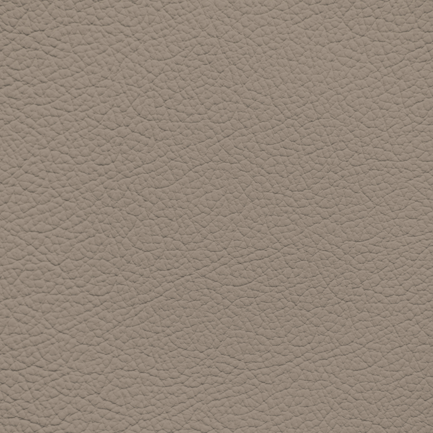 Ford/Lincoln/Mercury New Medium Parchment Leather Dye – Leather World ...