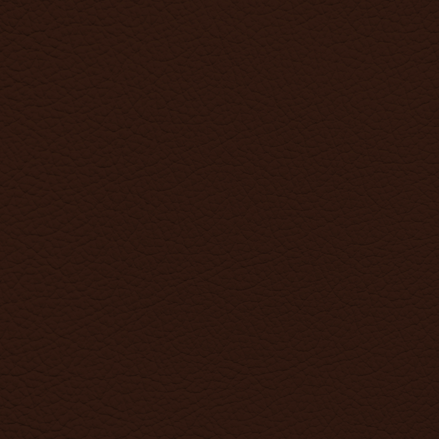 Audi Nougat Brown Leather Dye – Leather World Technologies