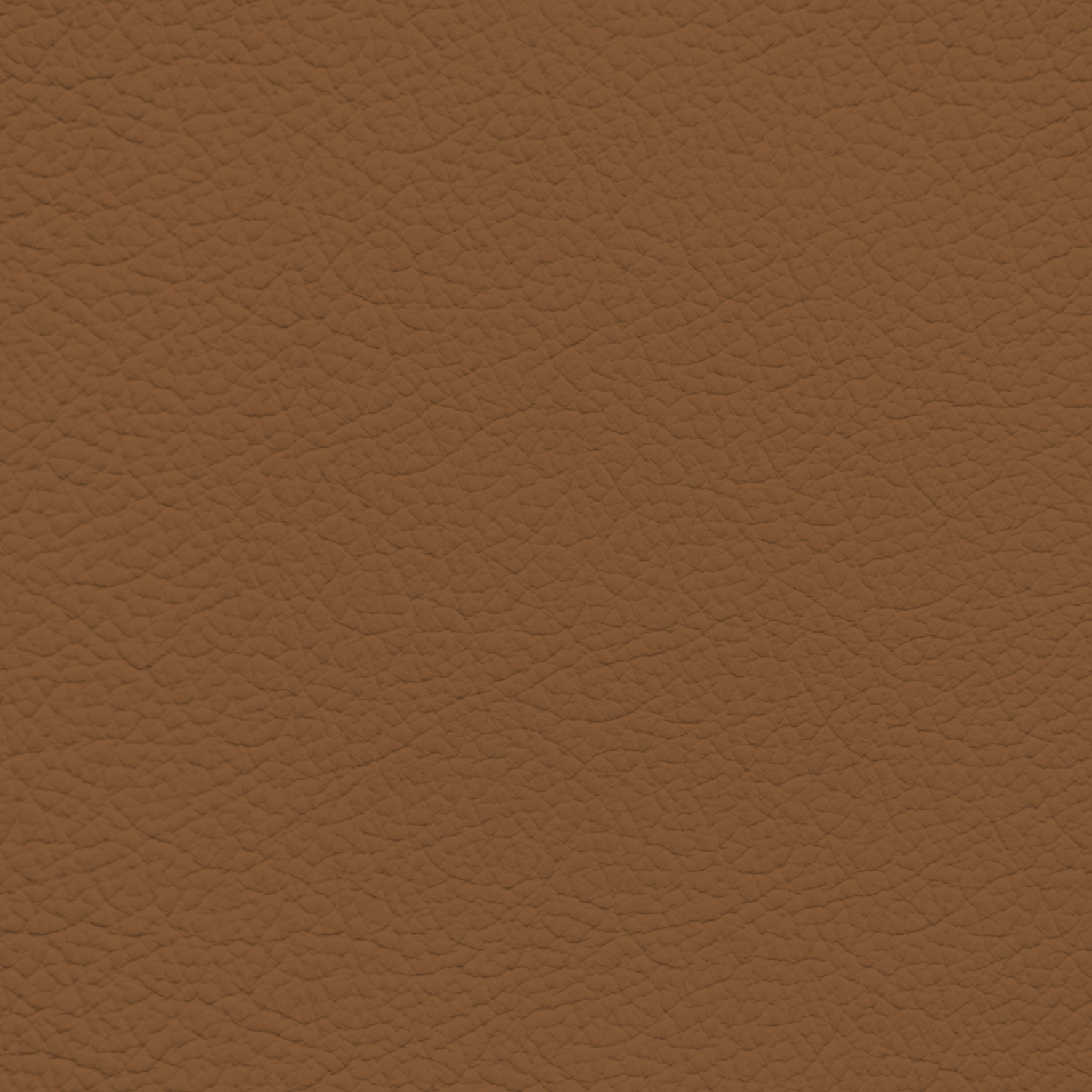 Audi Okapi Brown Leather Dye – Leather World Technologies
