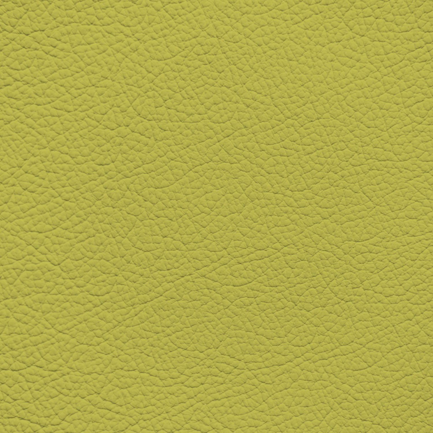 BMW Pale Yellow Leather Dye – Leather World Technologies
