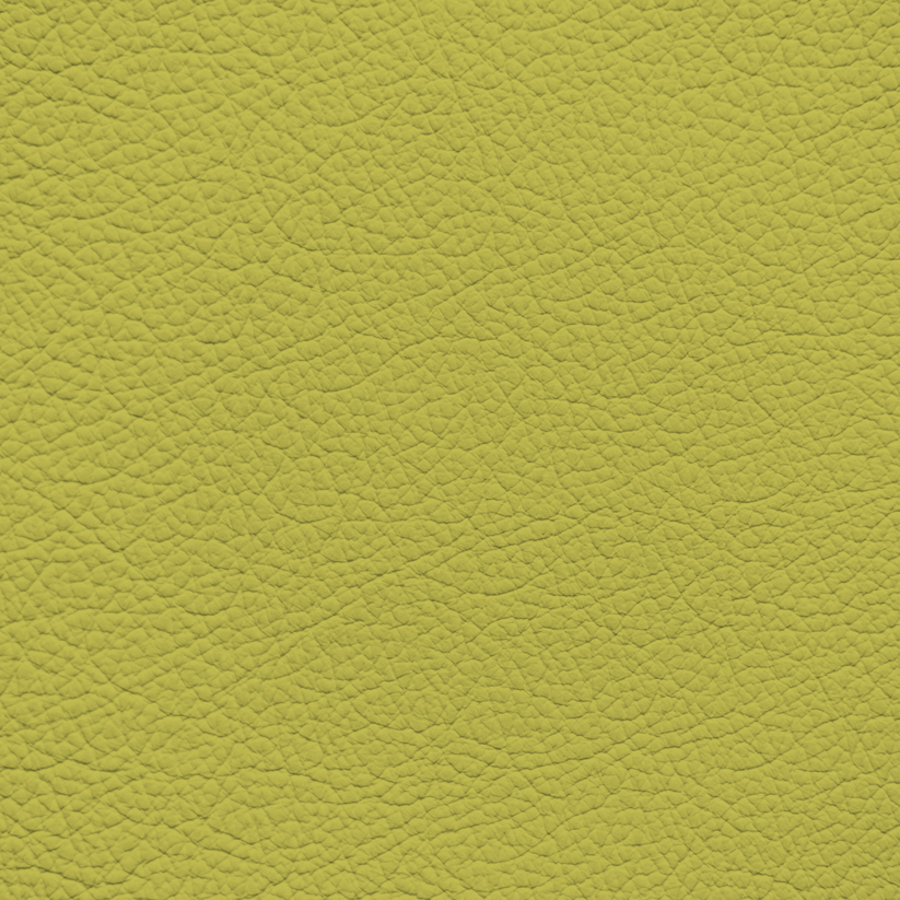 BMW Pale Yellow Leather Dye – Leather World Technologies