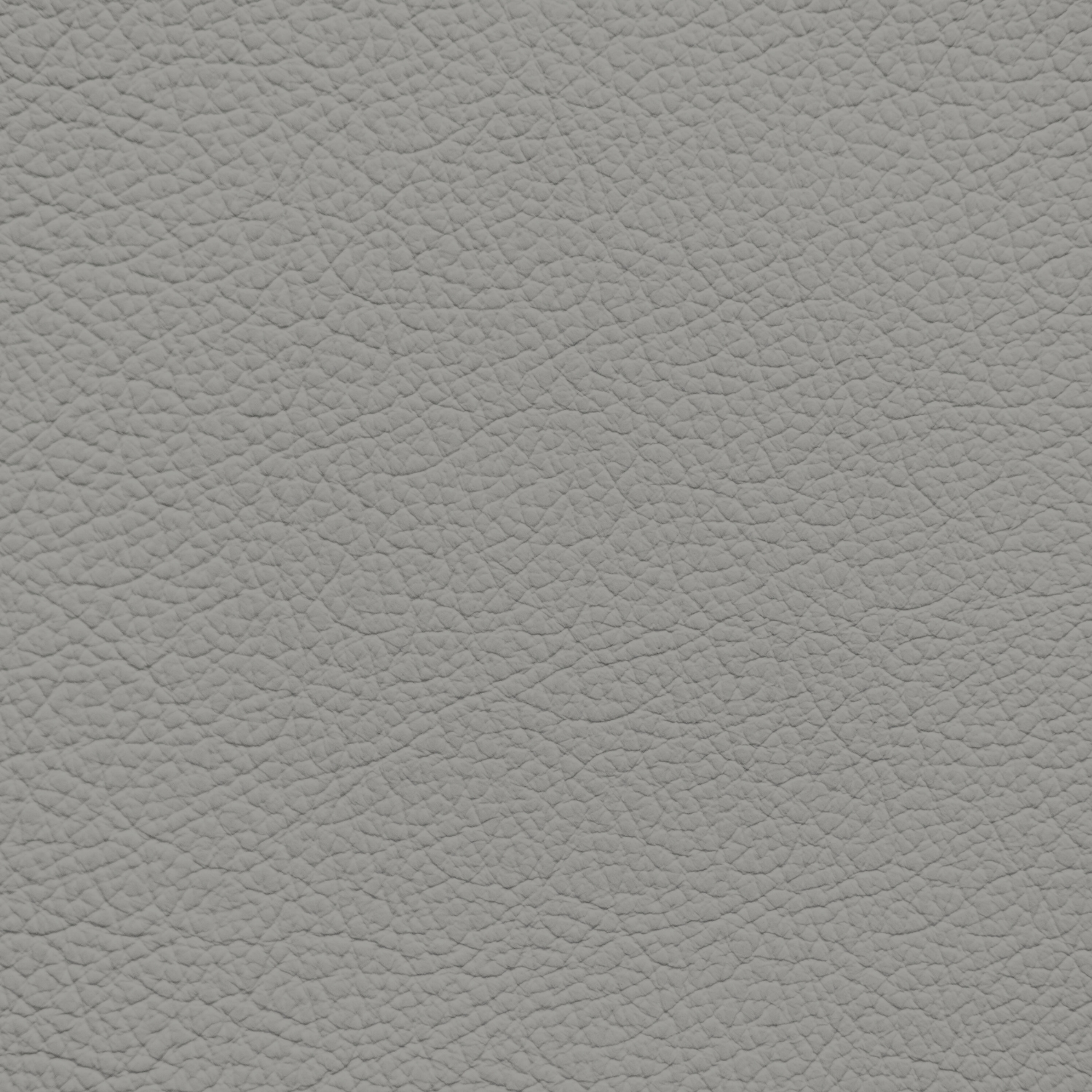 Mercedes Palm Gray Leather Dye – Leather World Technologies