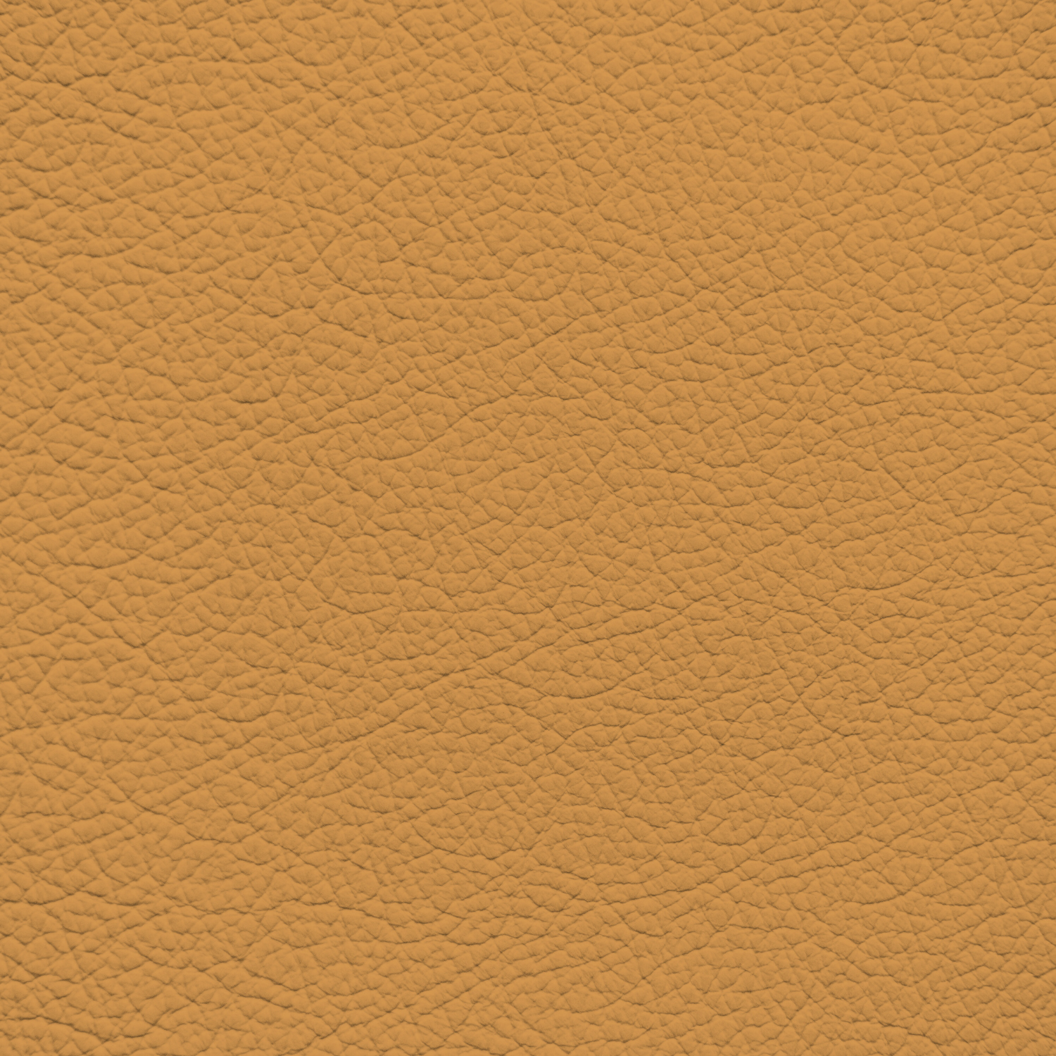 Lexus Palomino Leather Dye – Leather World Technologies
