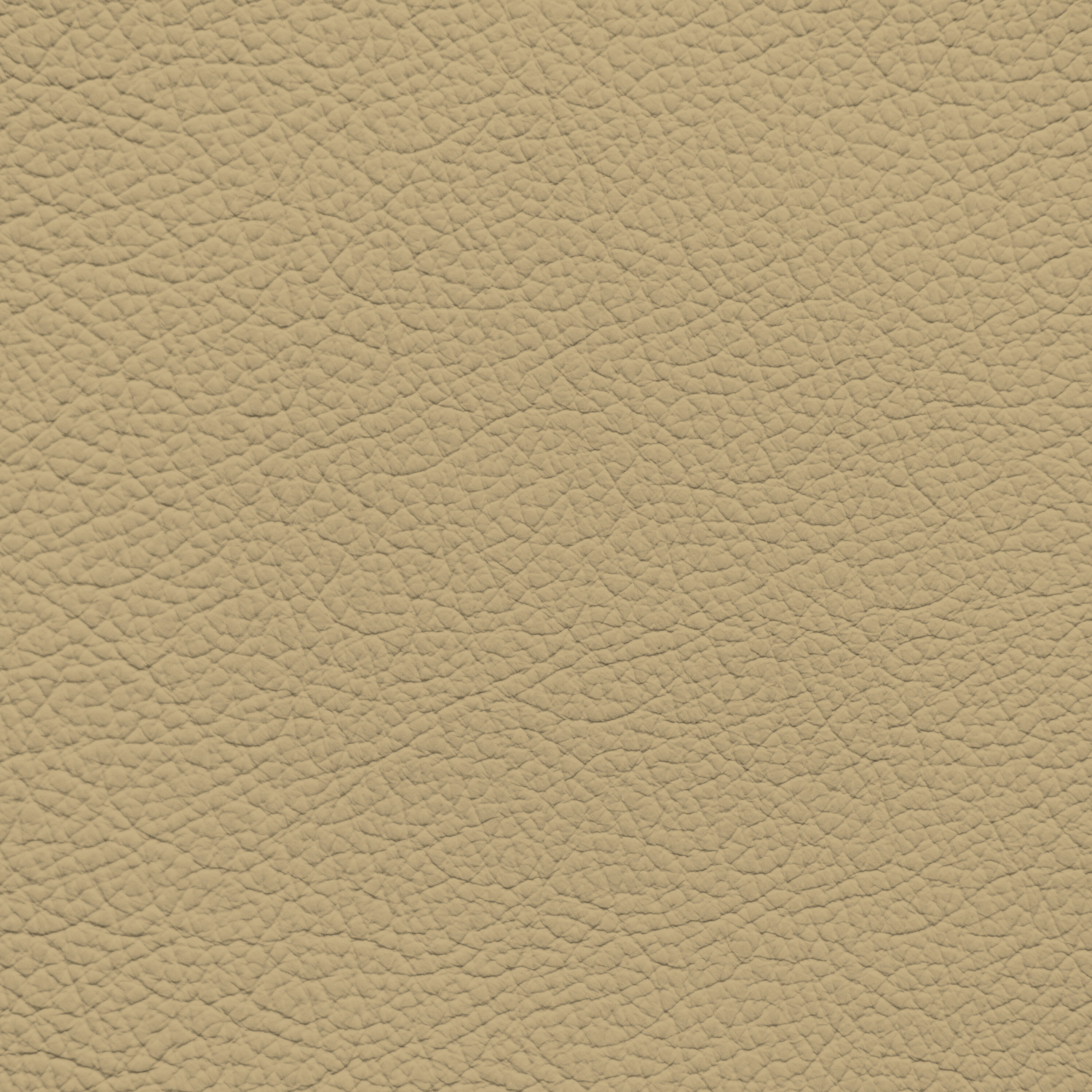 BMW Parchment (254) Leather Dye – Leather World Technologies