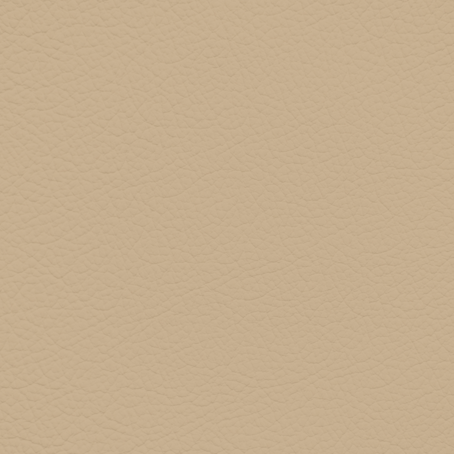 GM Parchment Leather Dye – Leather World Technologies