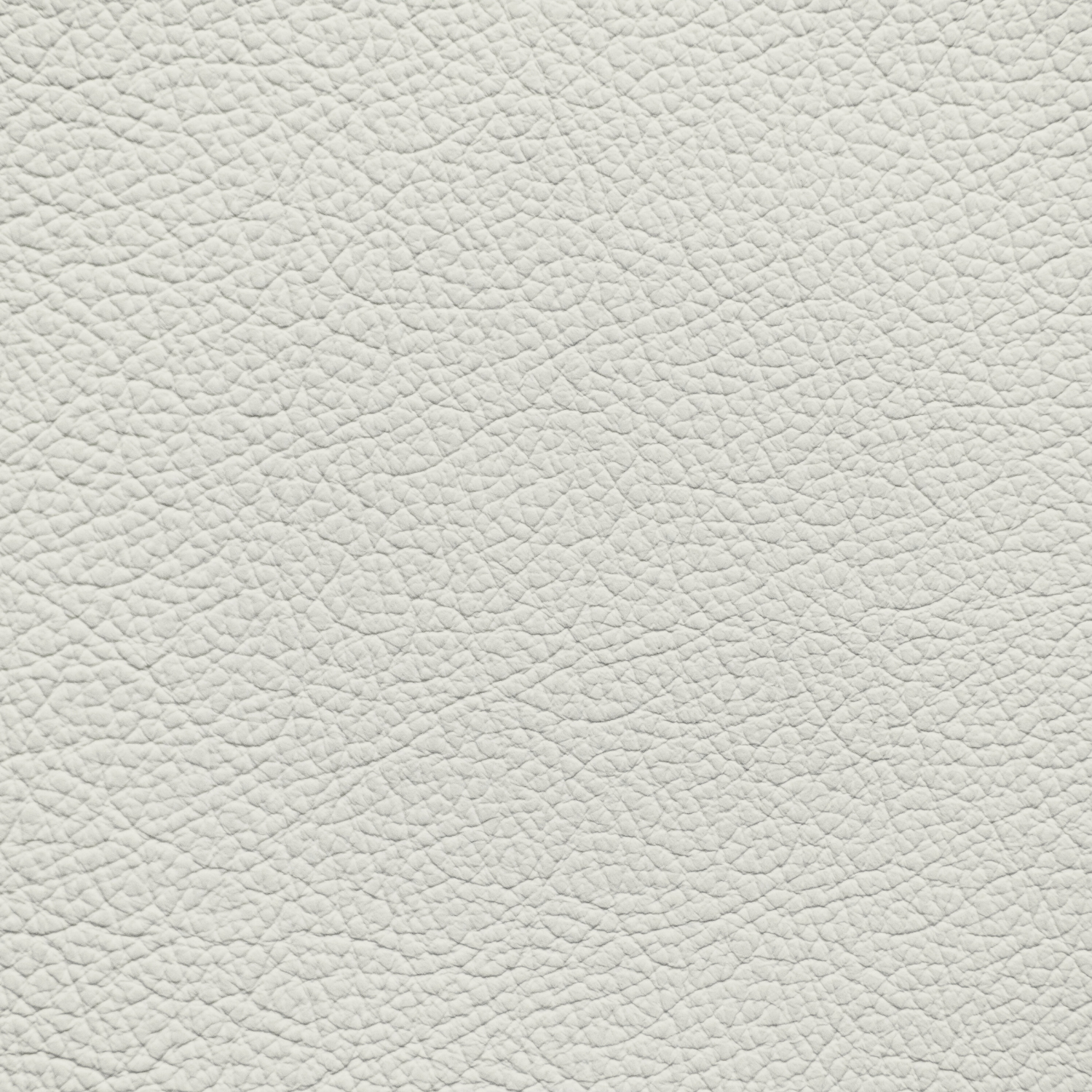 Audi Pearl Beige Leather Dye – Leather World Technologies