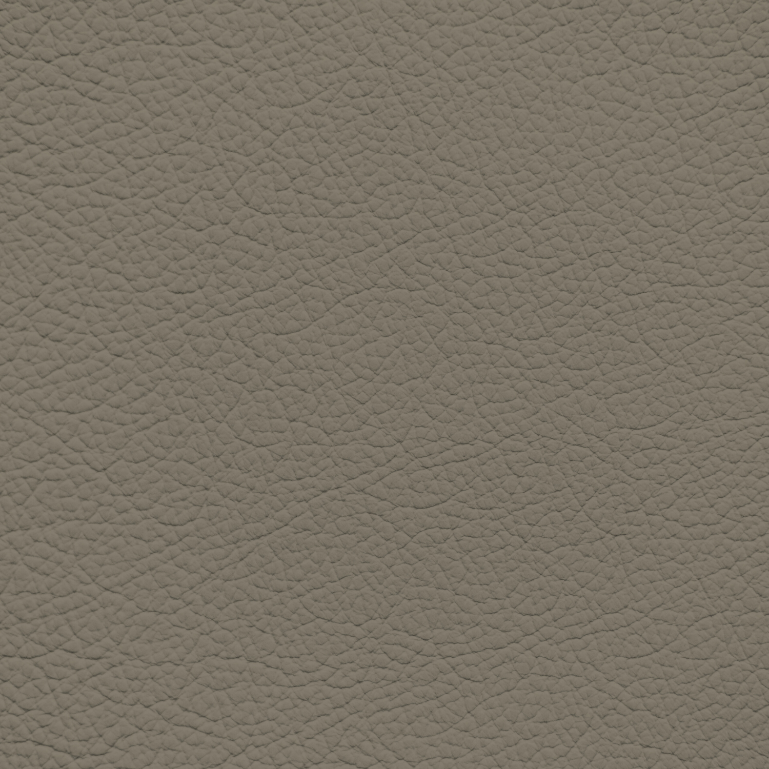 BMW Pergament Leather Dye – Leather World Technologies