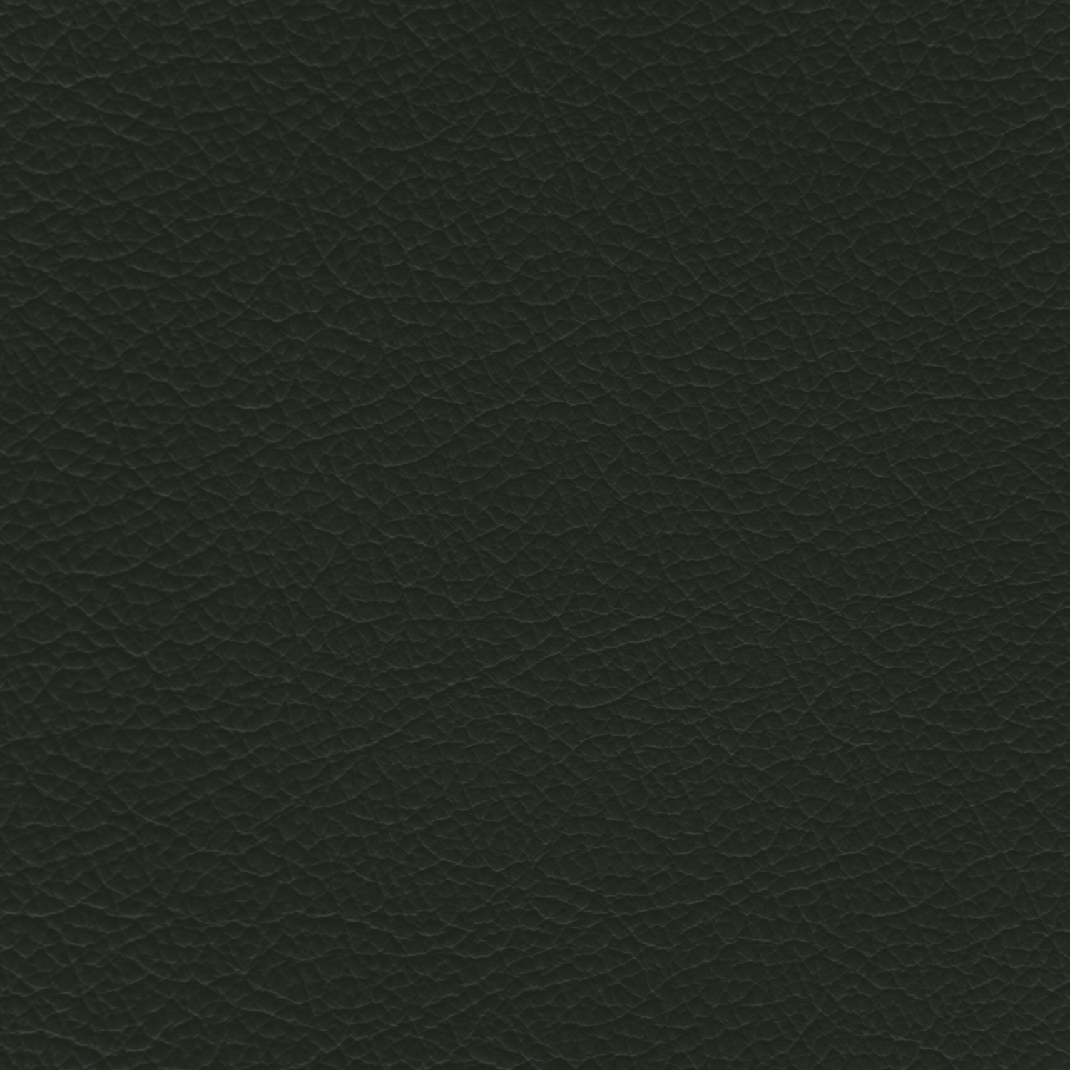 Jaguar Pine Green Leather Dye – Leather World Technologies
