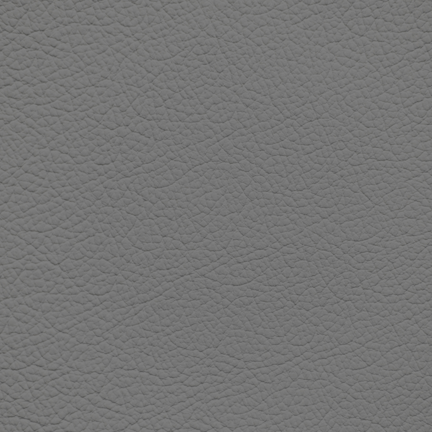 Audi Platinum Grey Leather Dye – Leather World Technologies