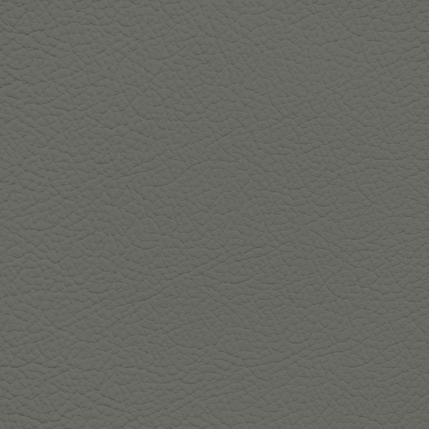 Porsche Platinum Grey Leather Dye – Leather World Technologies