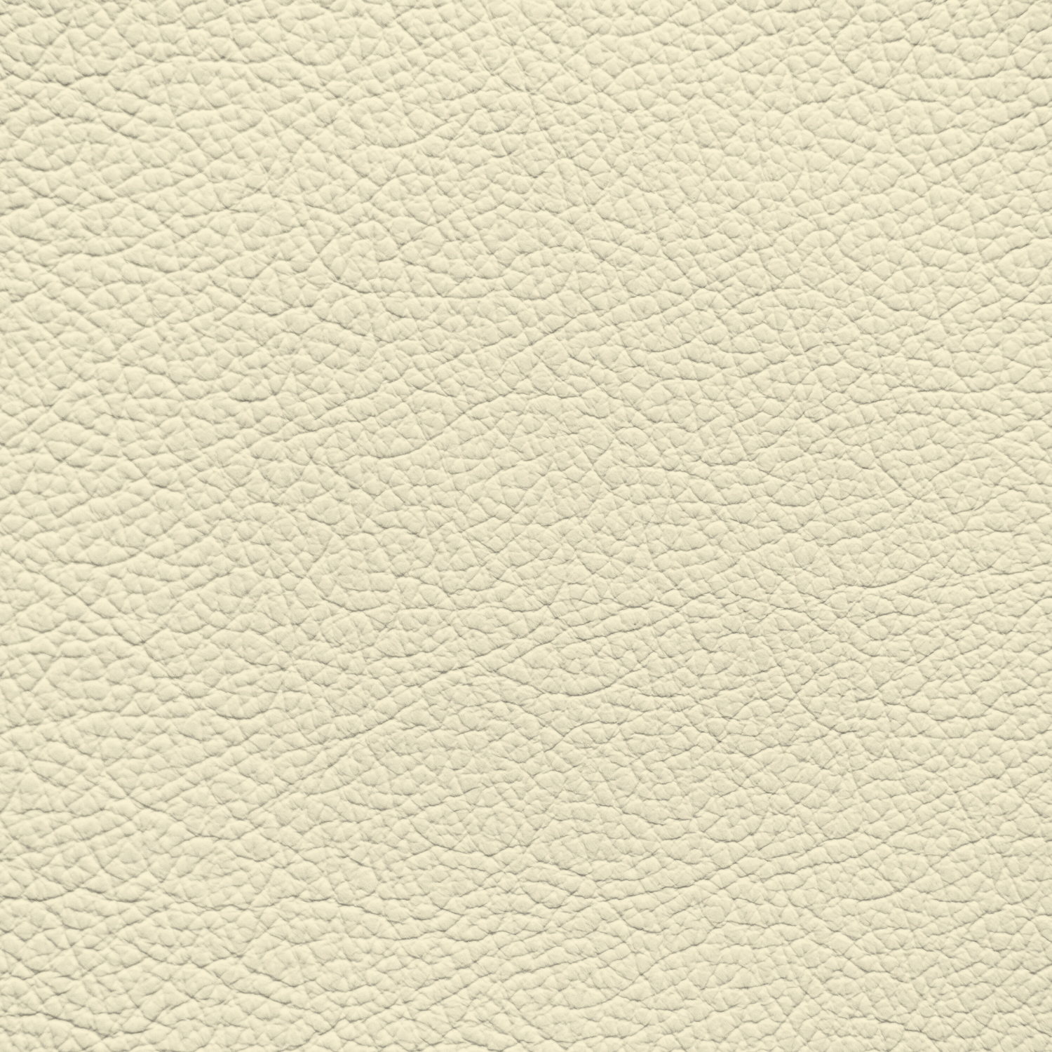 BMW Platinum (PLATIN) Leather Dye – Leather World Technologies