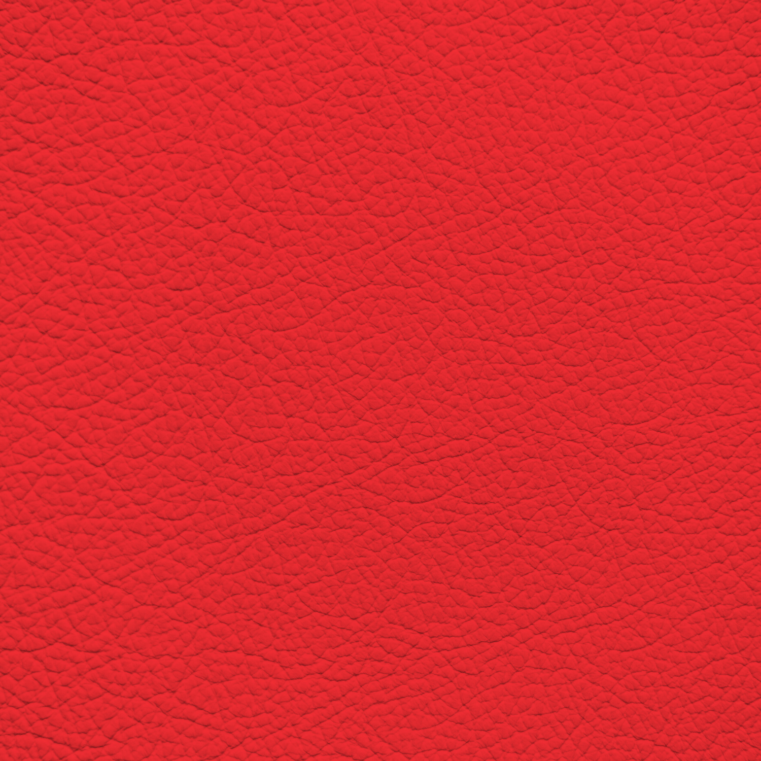 Acura/Honda Red Leather Dye – Leather World Technologies