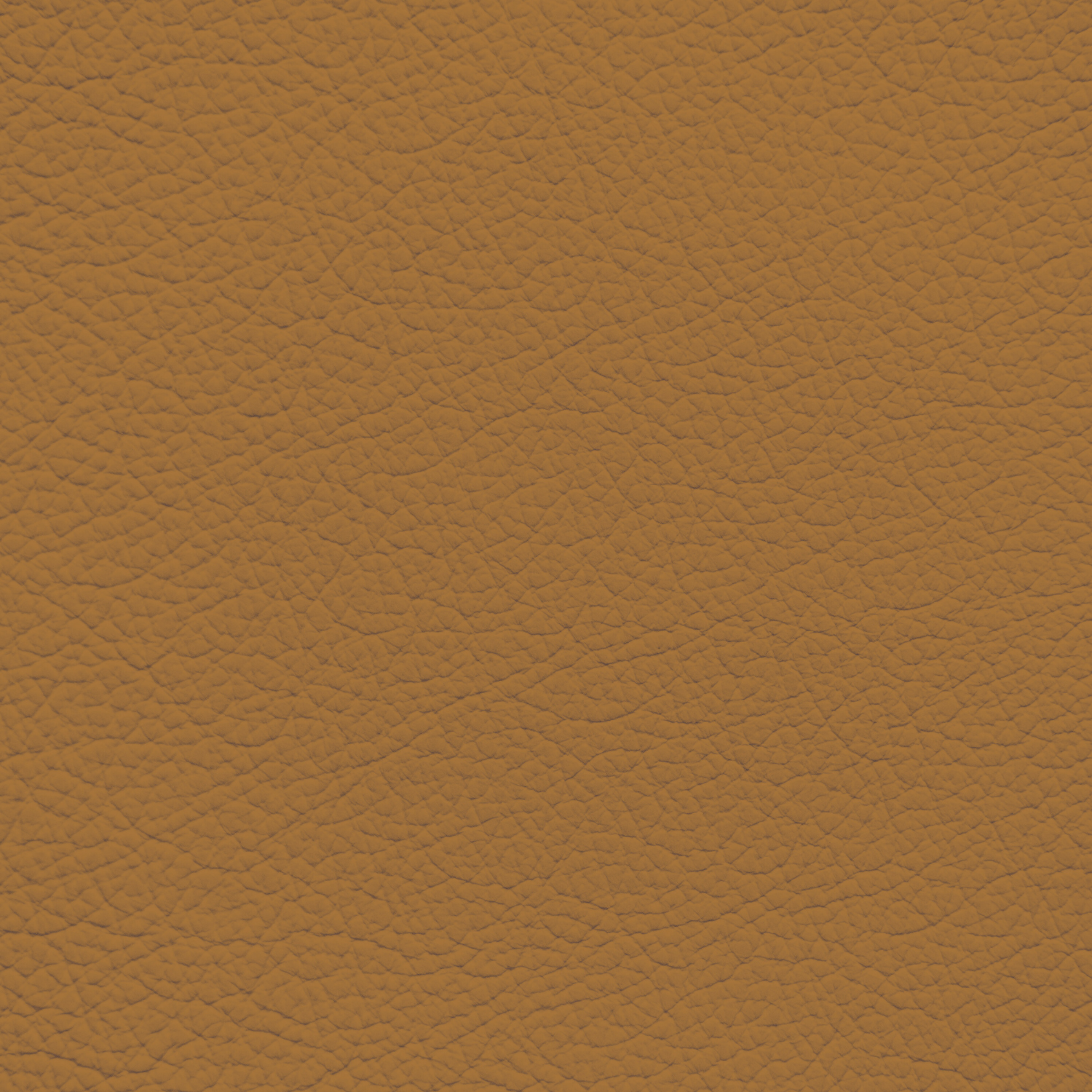 BMW Saddle Tan Leather Dye – Leather World Technologies