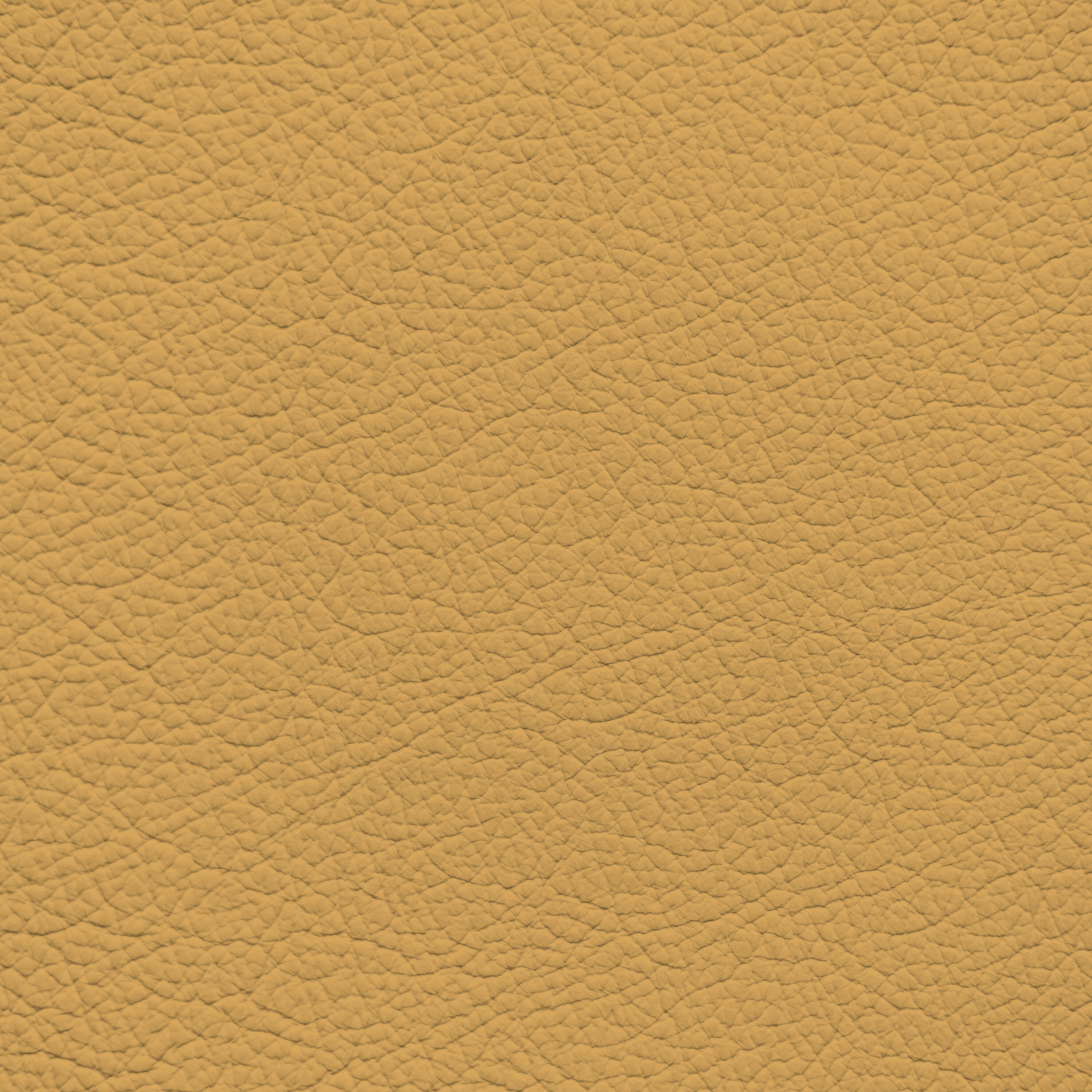 BMW Saffron Yellow Leather Dye – Leather World Technologies