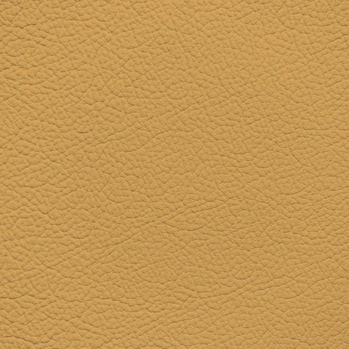 BMW Saffron Yellow Leather Dye – Leather World Technologies
