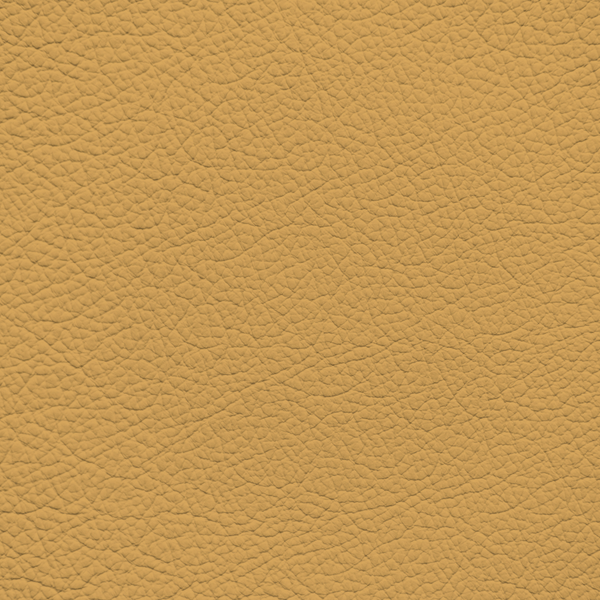 BMW Saffron Yellow Leather Dye – Leather World Technologies