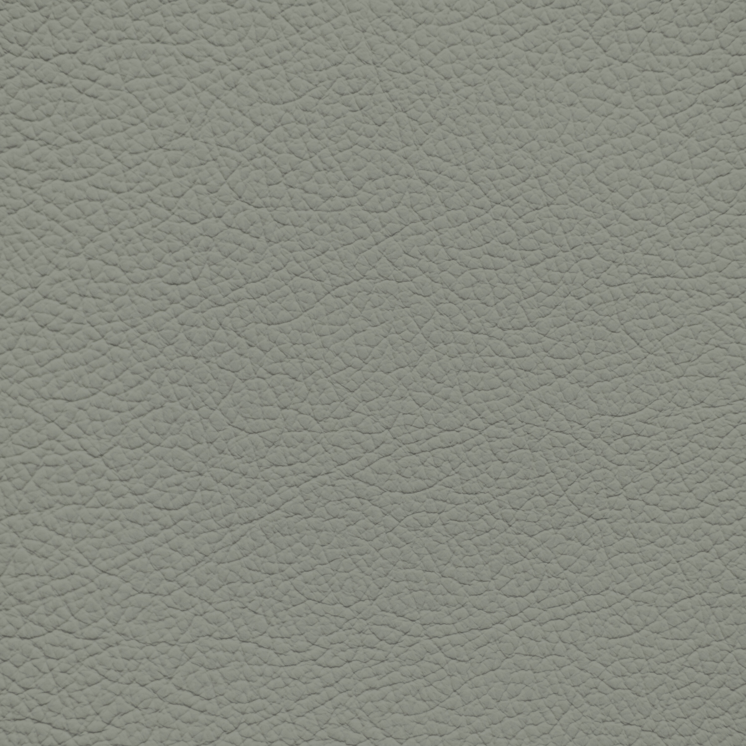 Toyota Sage Leather Dye – Leather World Technologies
