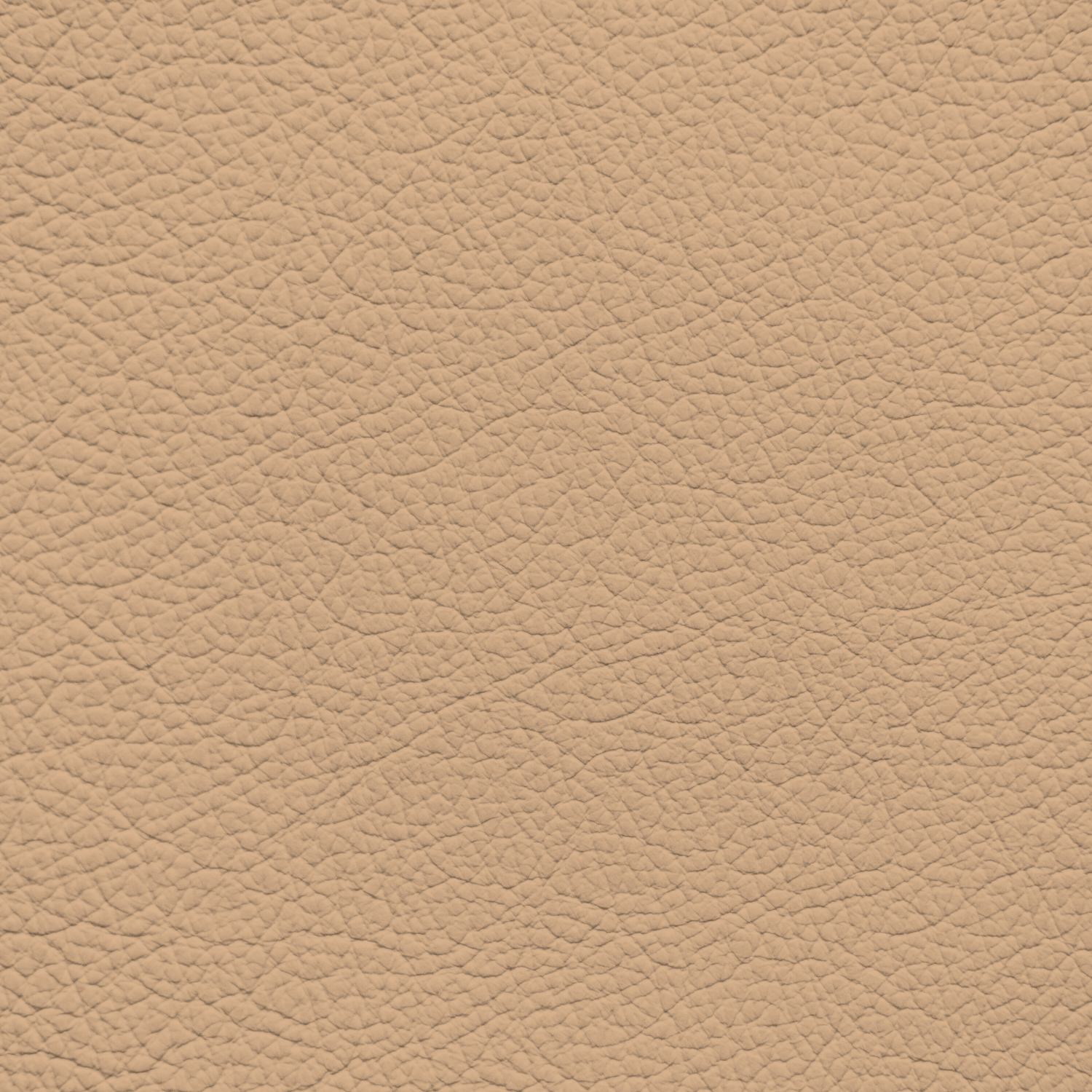 BMW Sand Beige Leather Dye – Leather World Technologies