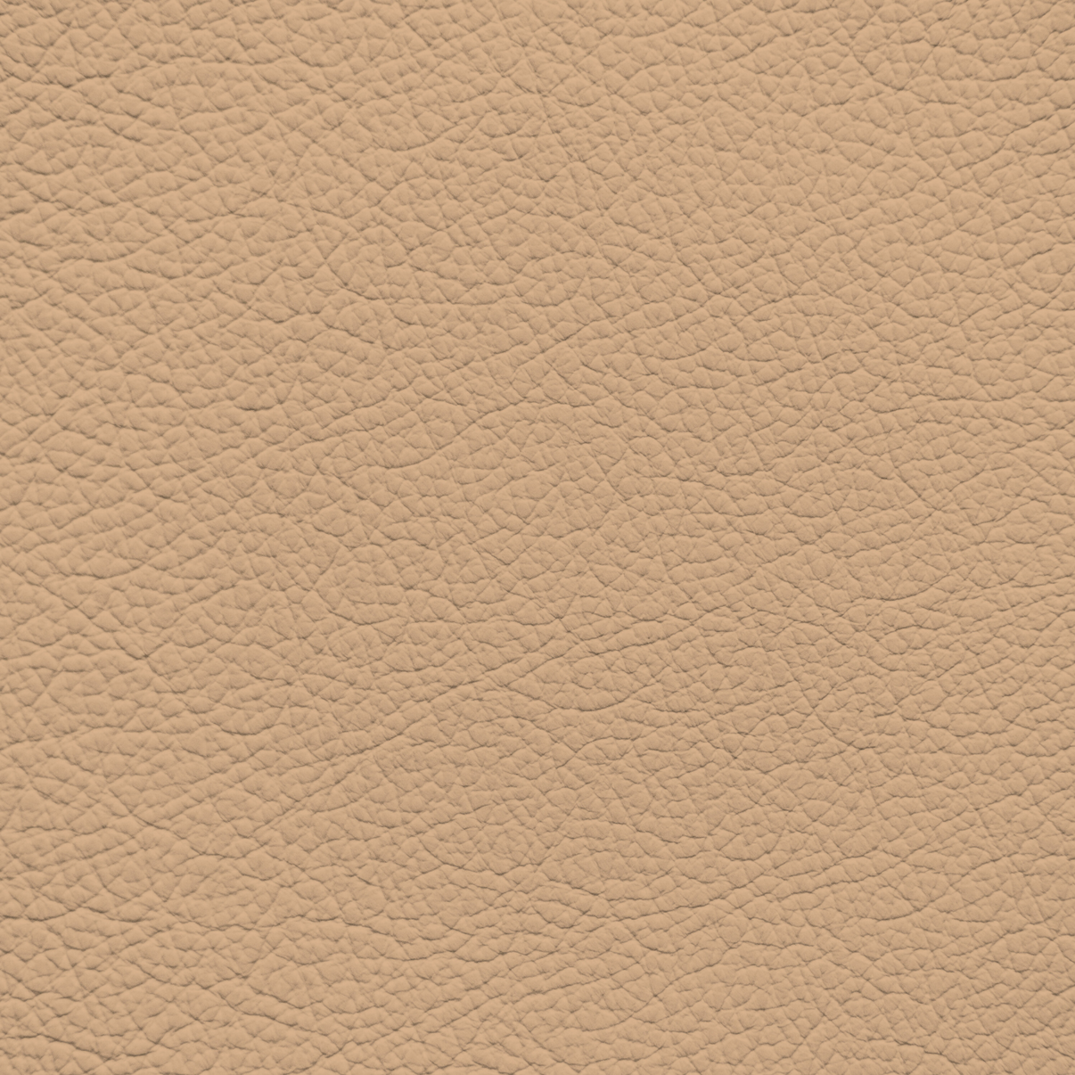 BMW Sand Beige Leather Dye – Leather World Technologies