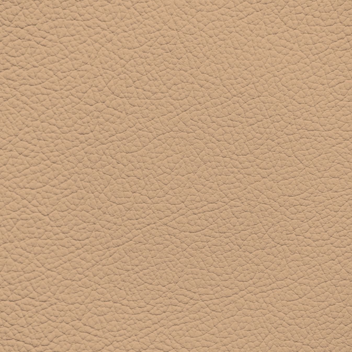 BMW Sand Beige Leather Dye – Leather World Technologies