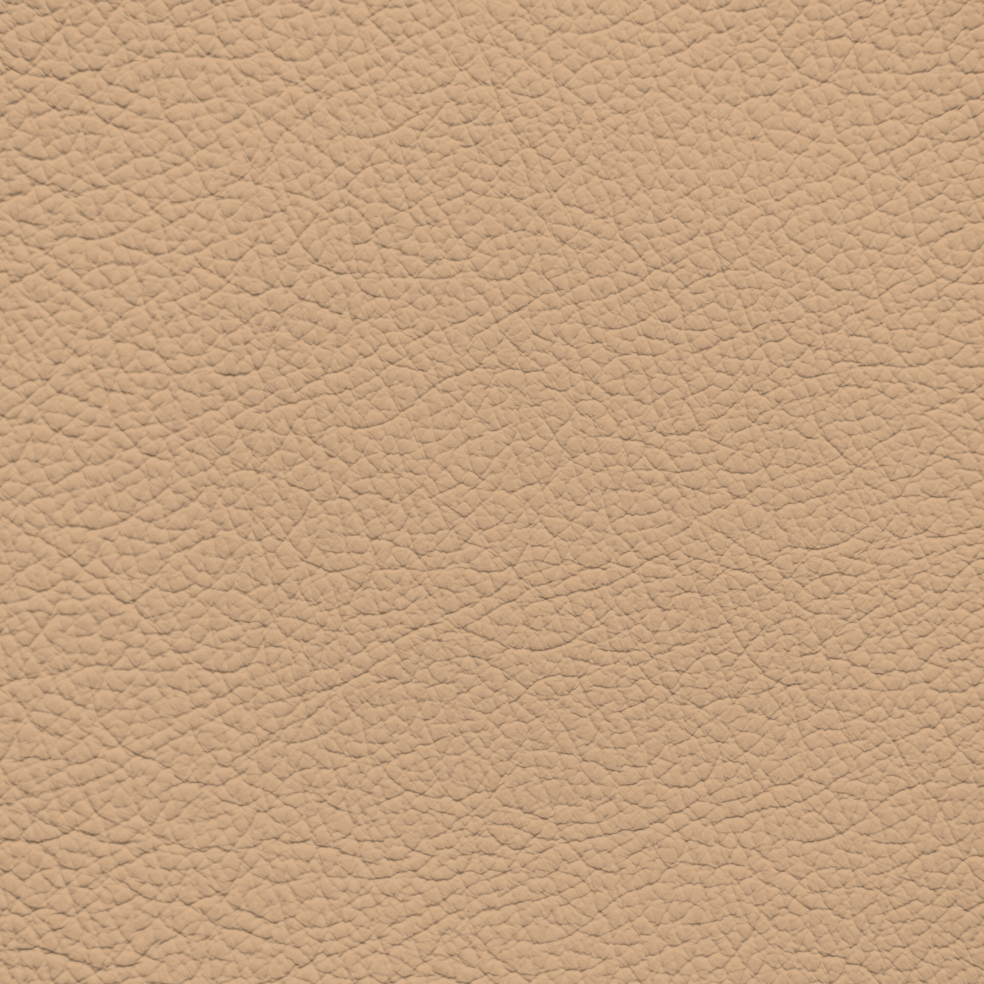 BMW Sand Beige Leather Dye – Leather World Technologies