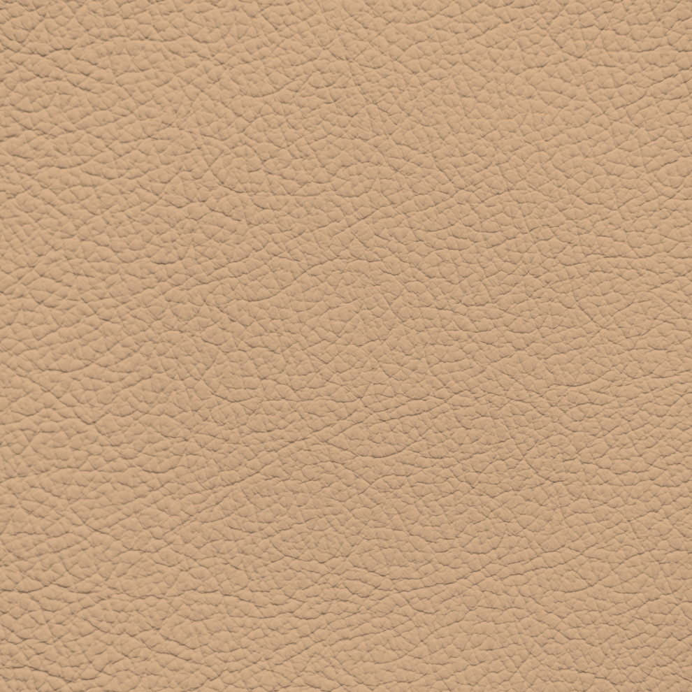 BMW Sand Beige Leather Dye – Leather World Technologies