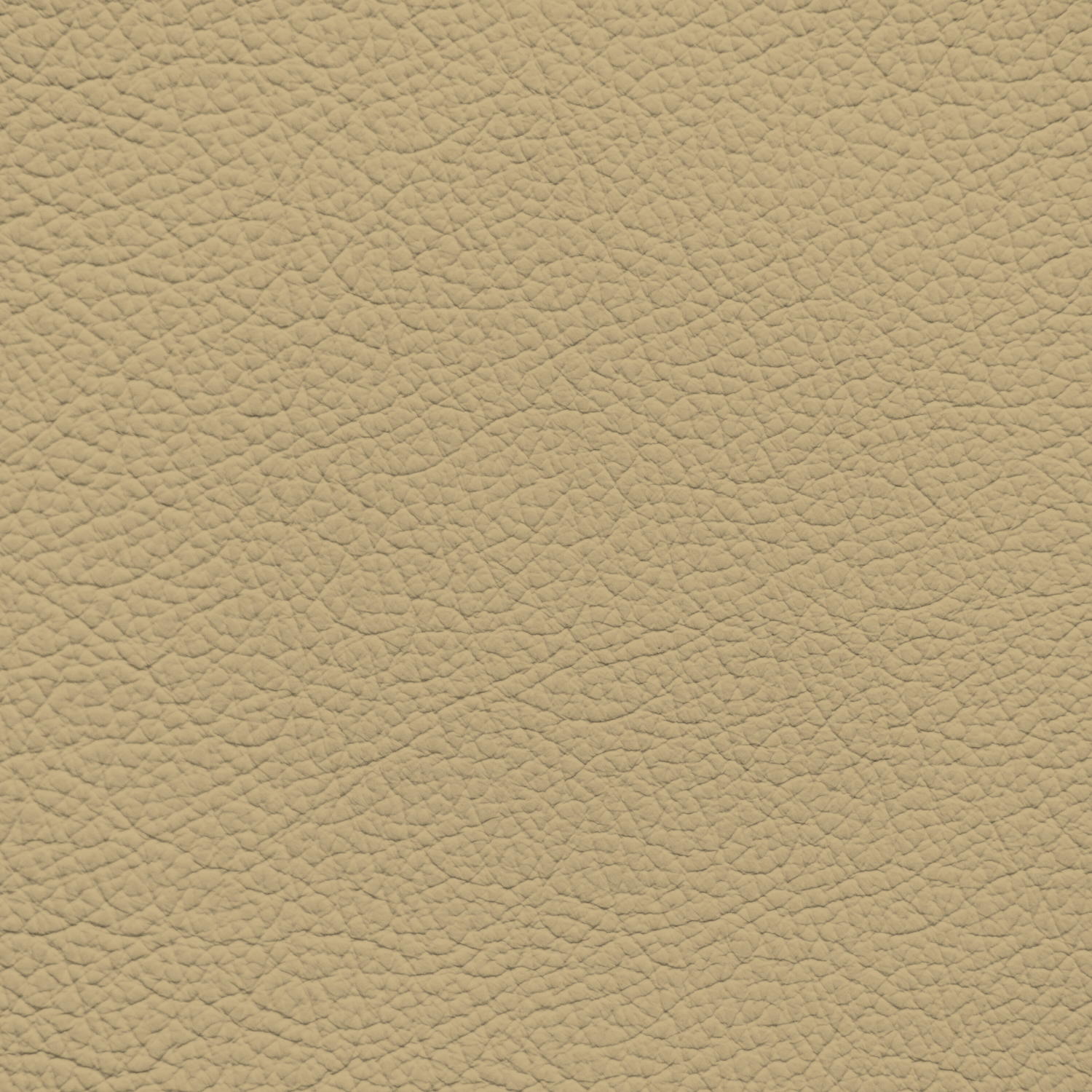 BMW Savannah Beige Leather Dye – Leather World Technologies