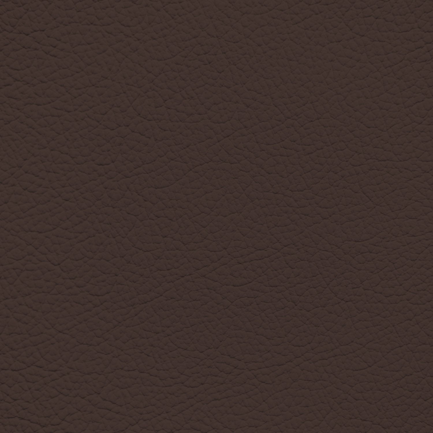 Ford/Lincoln/Mercury Sienna Leather Dye – Leather World Technologies