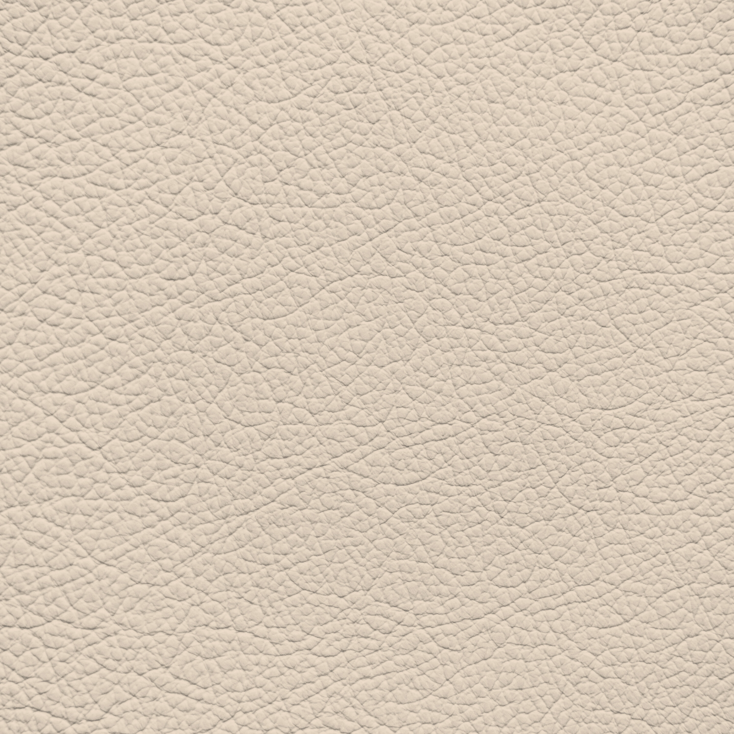 Acura/Honda Silky Ivory Leather Dye – Leather World Technologies