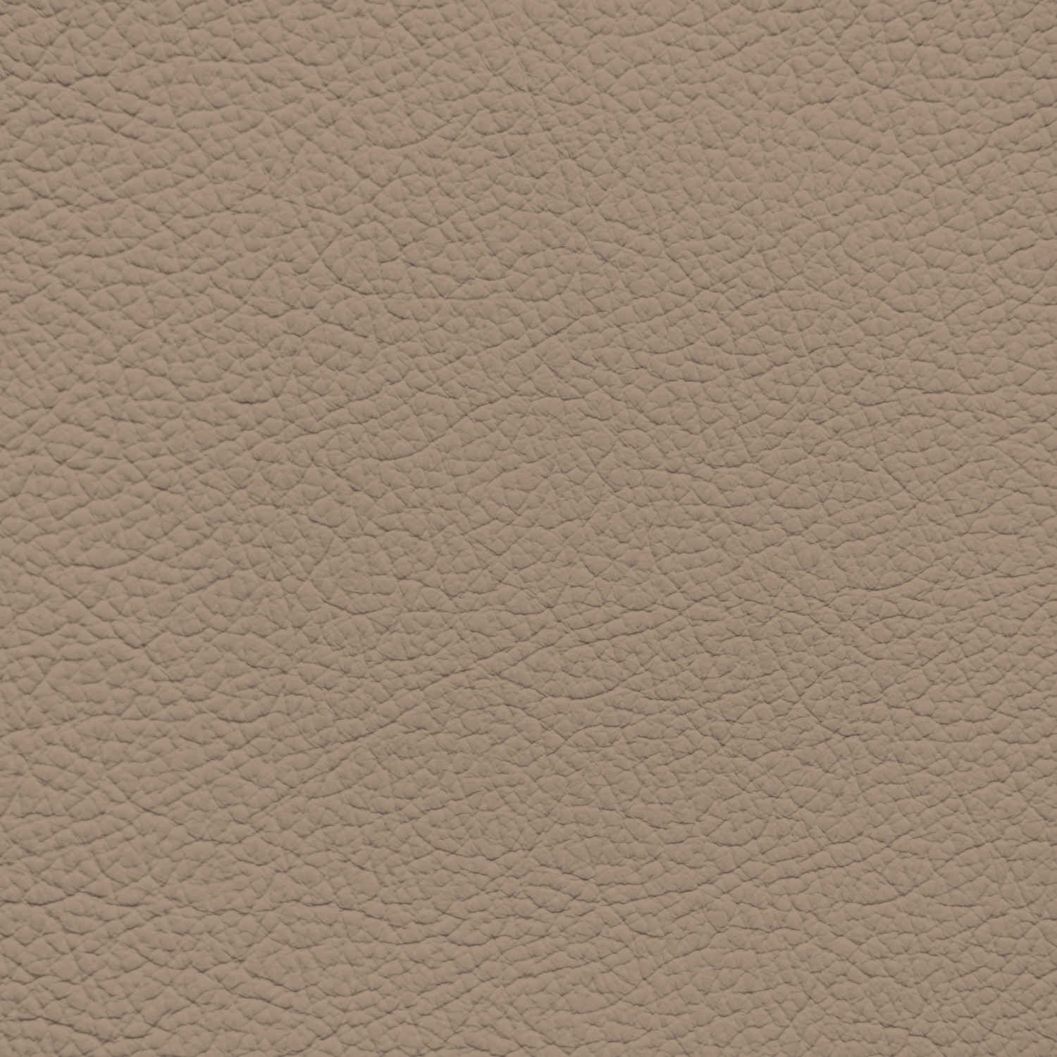BMW Sonoma Beige Leather Dye – Leather World Technologies