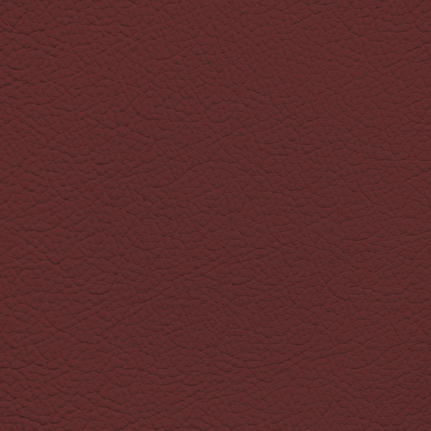 BMW Tacora Red Leather Dye – Leather World Technologies