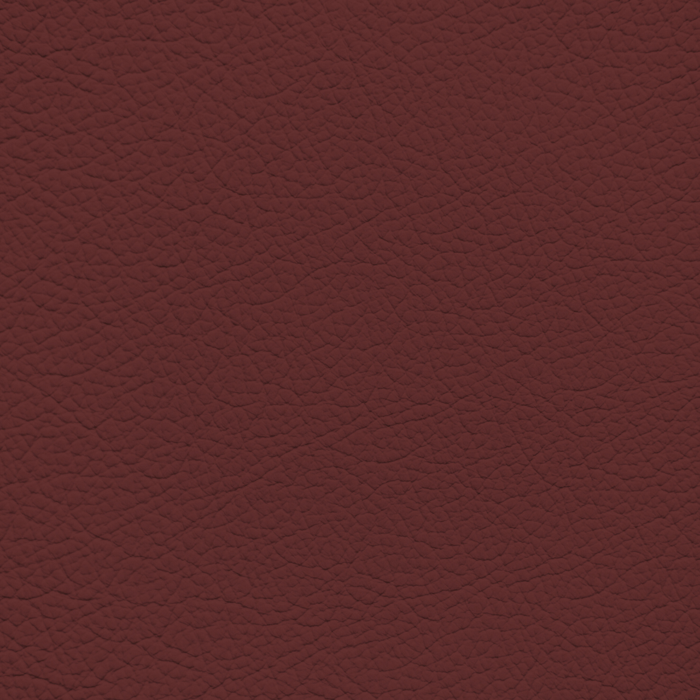 BMW Tacora Red Leather Dye – Leather World Technologies