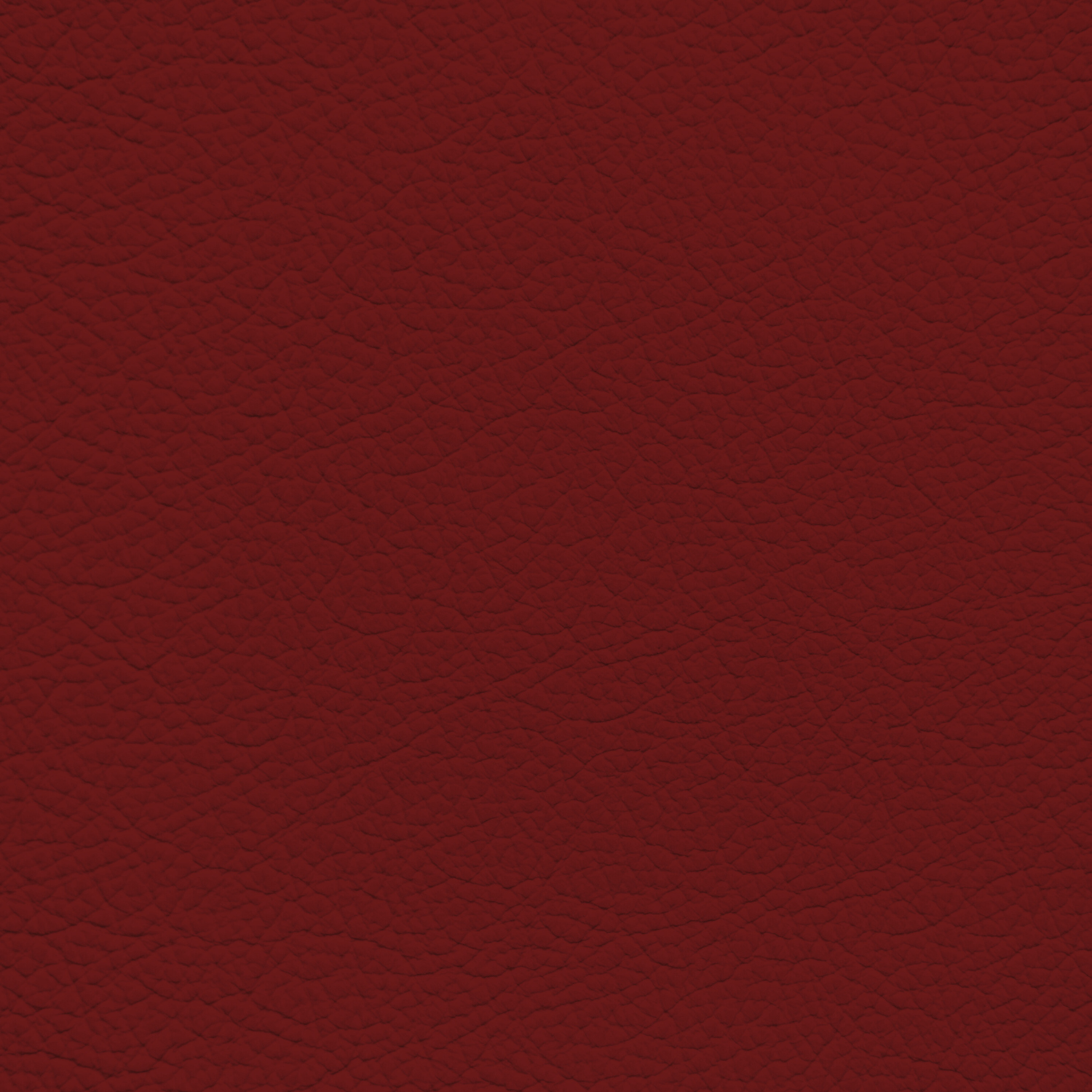 BMW Tanin Red Leather Dye – Leather World Technologies