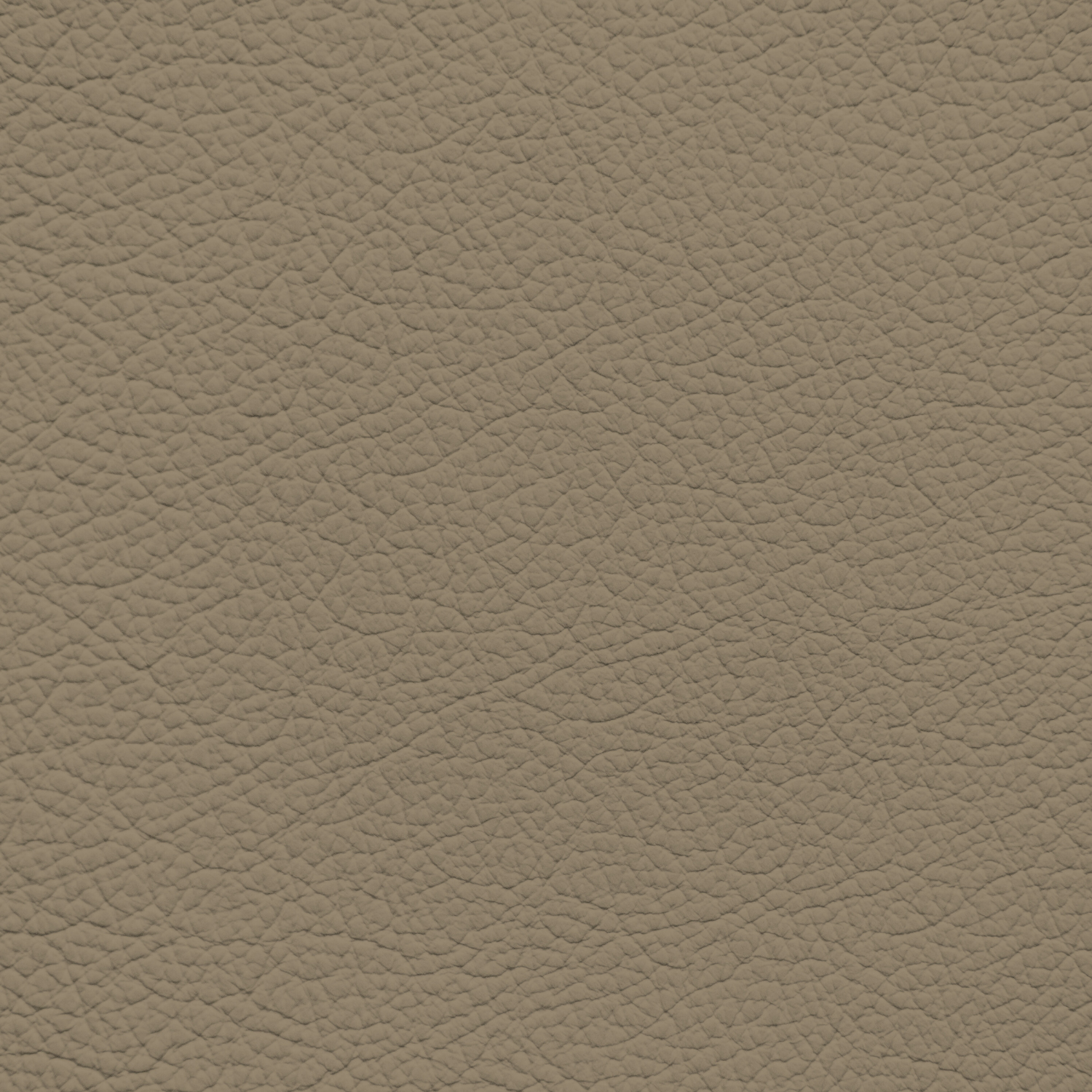 BMW Taupe Leather Dye – Leather World Technologies