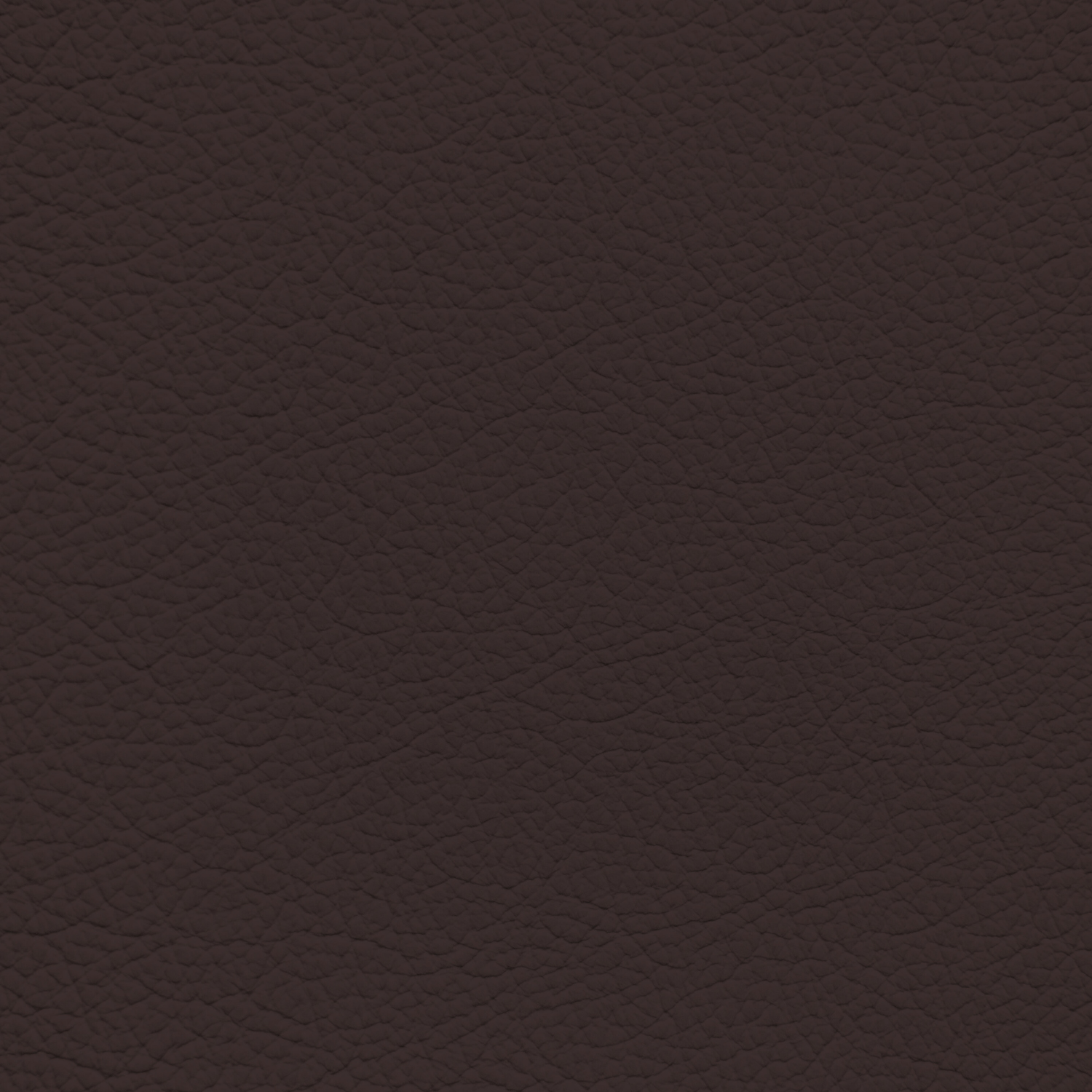 BMW Terra Cotta Leather Dye – Leather World Technologies