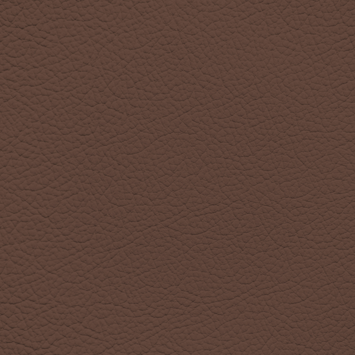 Ford/Lincoln/Mercury Terra Cotta Leather Dye – Leather World Technologies