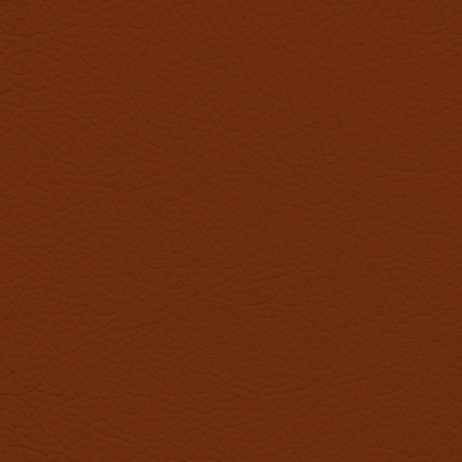Porsche Terracotta Leather Dye – Leather World Technologies