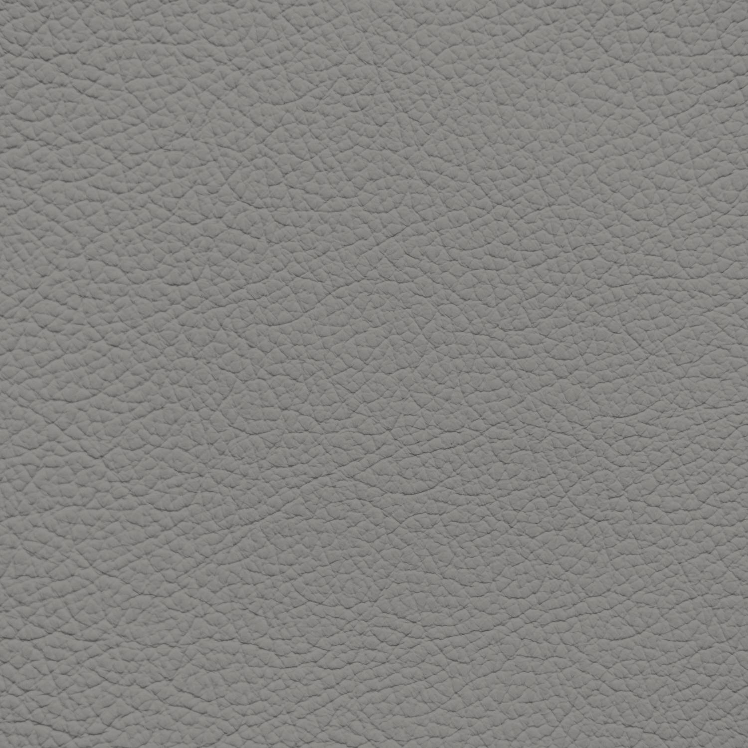 Audi Titanium Leather Dye – Leather World Technologies